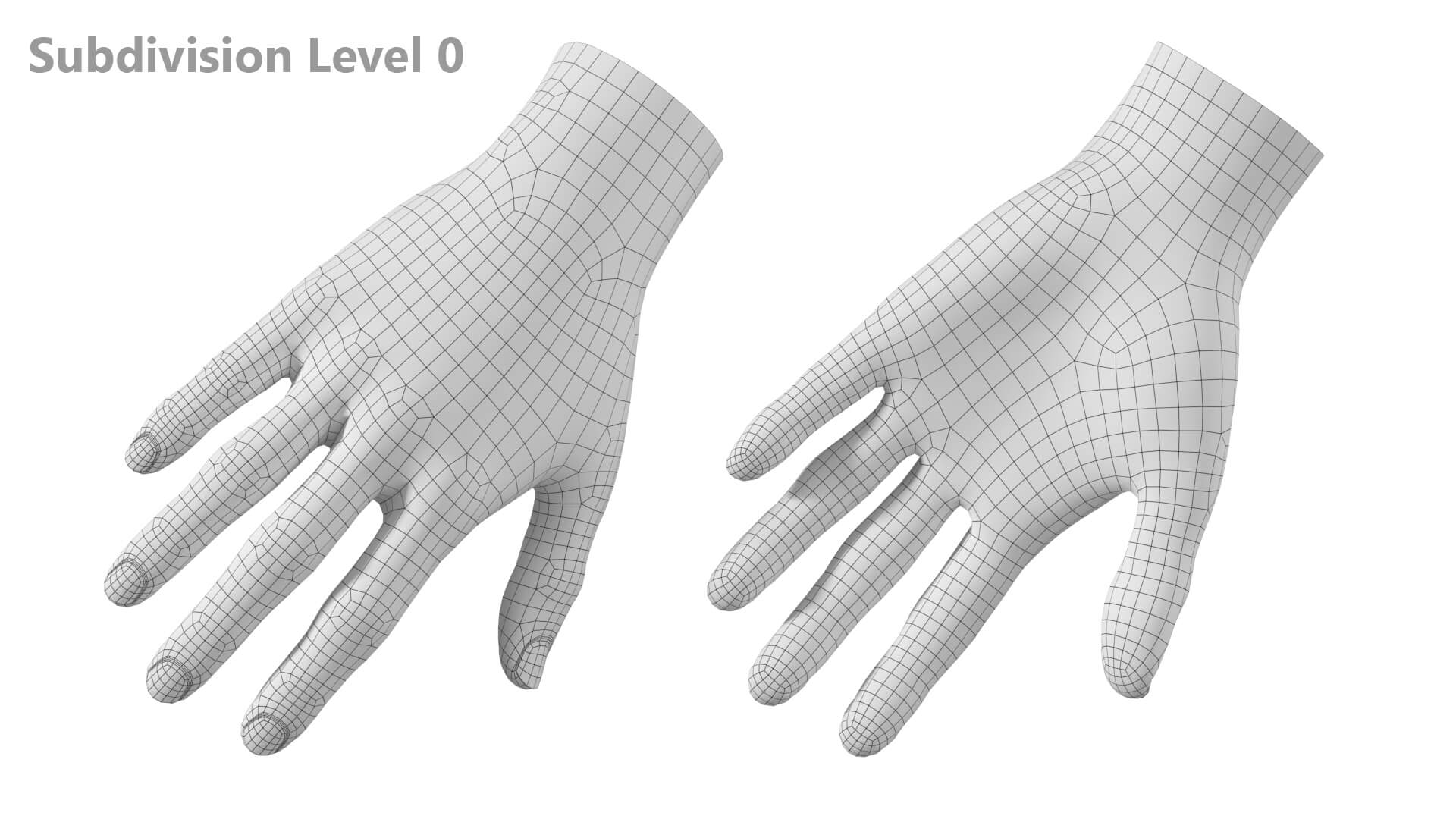 Female Hand Base Mesh 01 - 3D Model by Valerii-Kaliuzhnyi