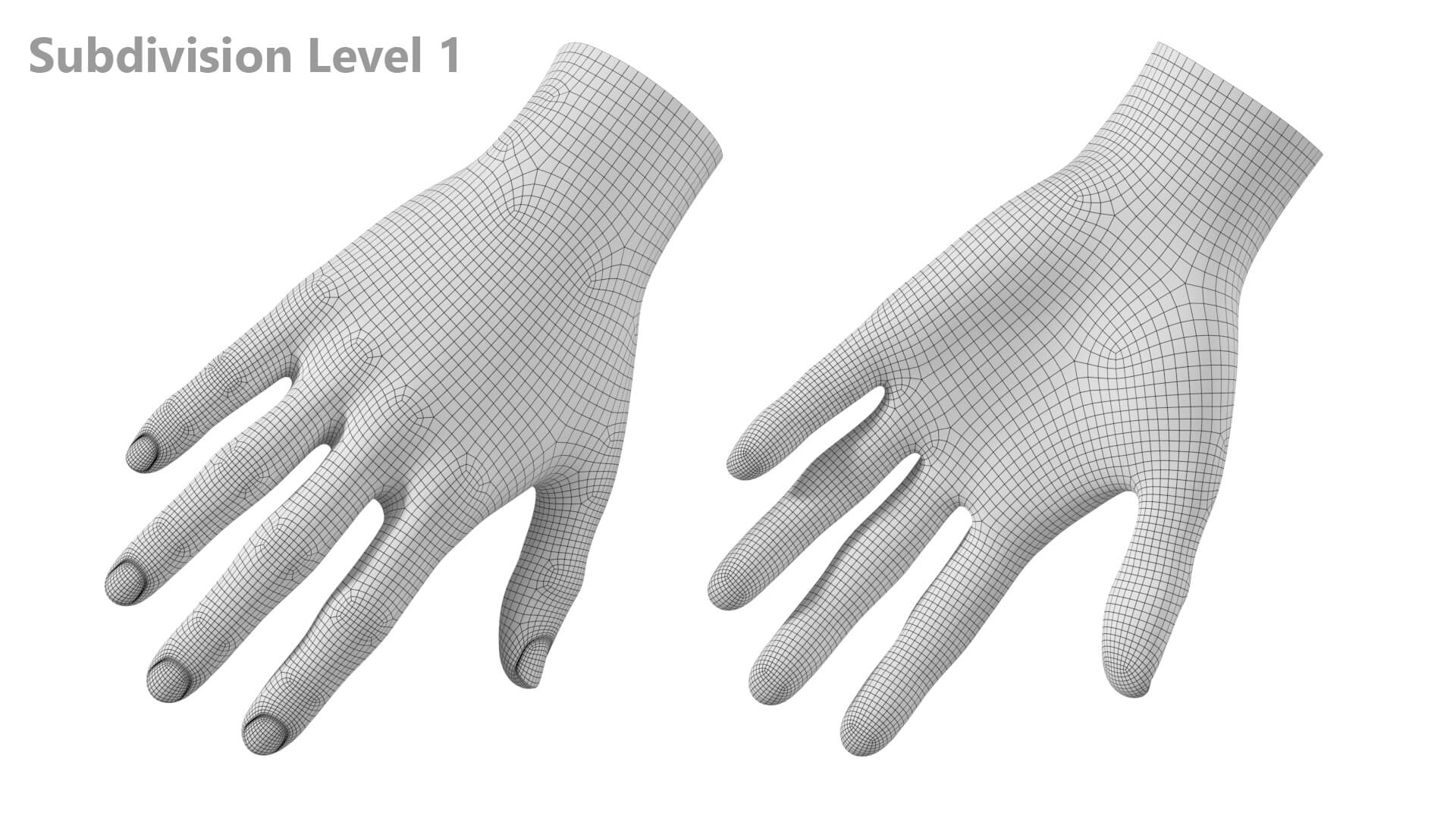 Female Hand Base Mesh 01 - 3D Model by Valerii-Kaliuzhnyi