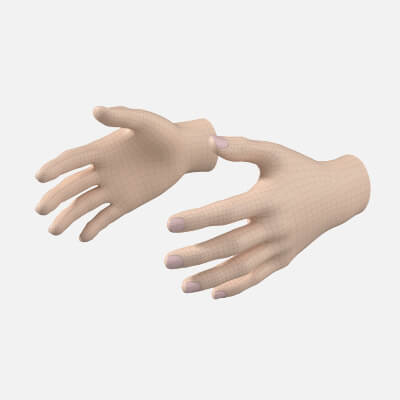 Female Hand Base Mesh 01 - 3D Model by Valerii-Kaliuzhnyi