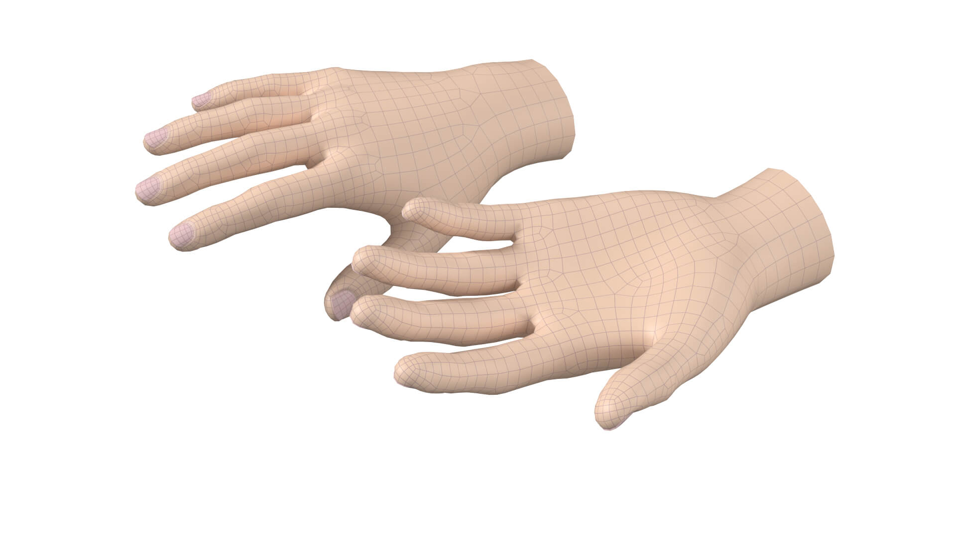 Female Hand Base Mesh 02 - 3D Model by Valerii-Kaliuzhnyi