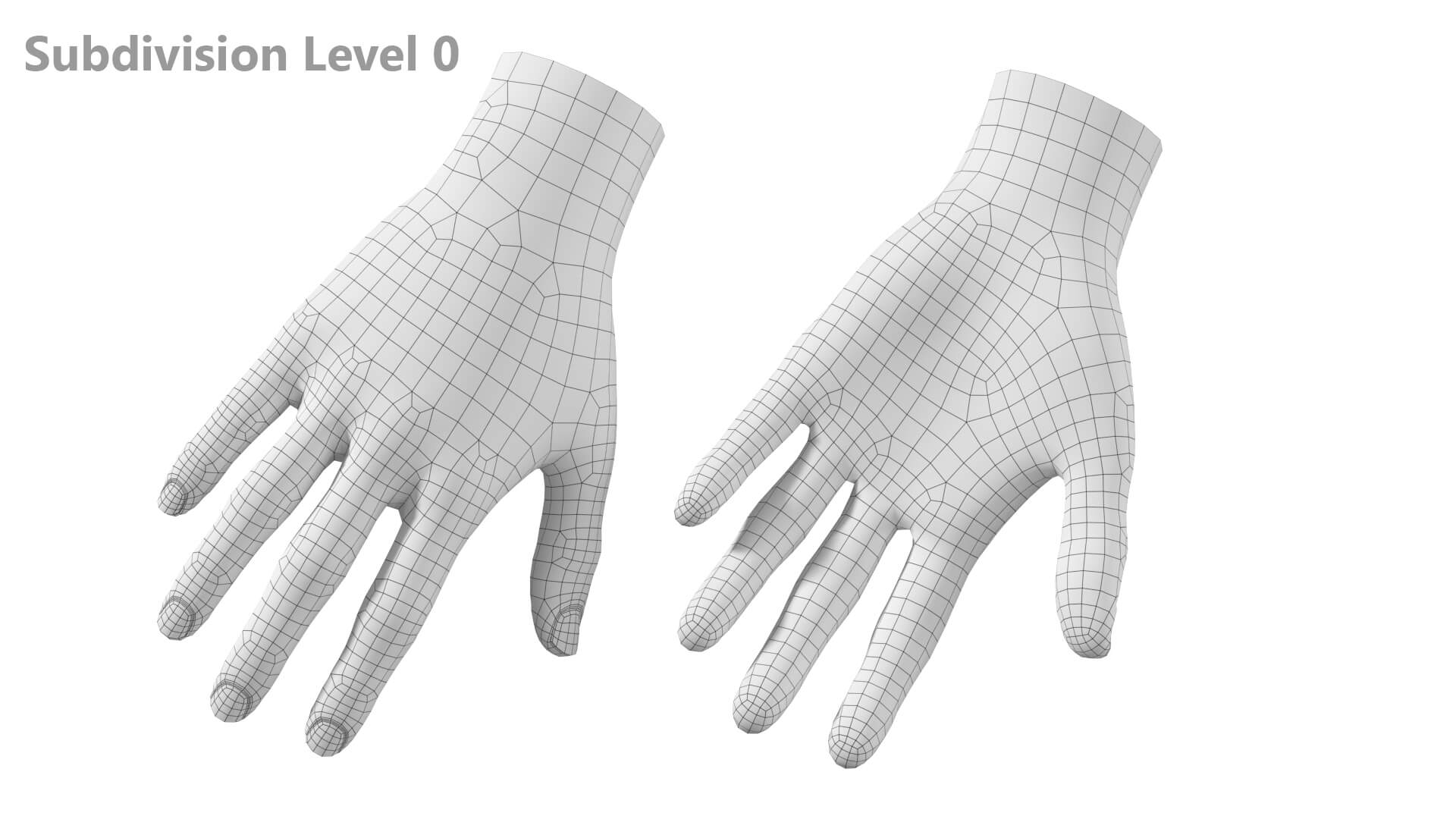 Female Hand Base Mesh 02 - 3D Model by Valerii-Kaliuzhnyi