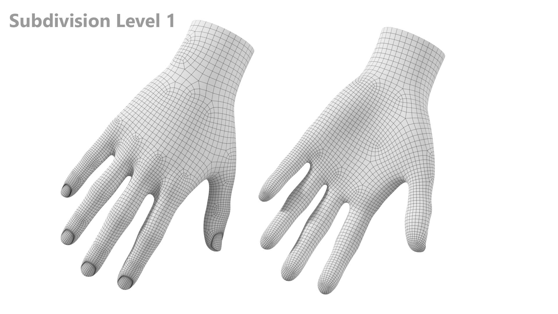 Female Hand Base Mesh 02 - 3D Model by Valerii-Kaliuzhnyi