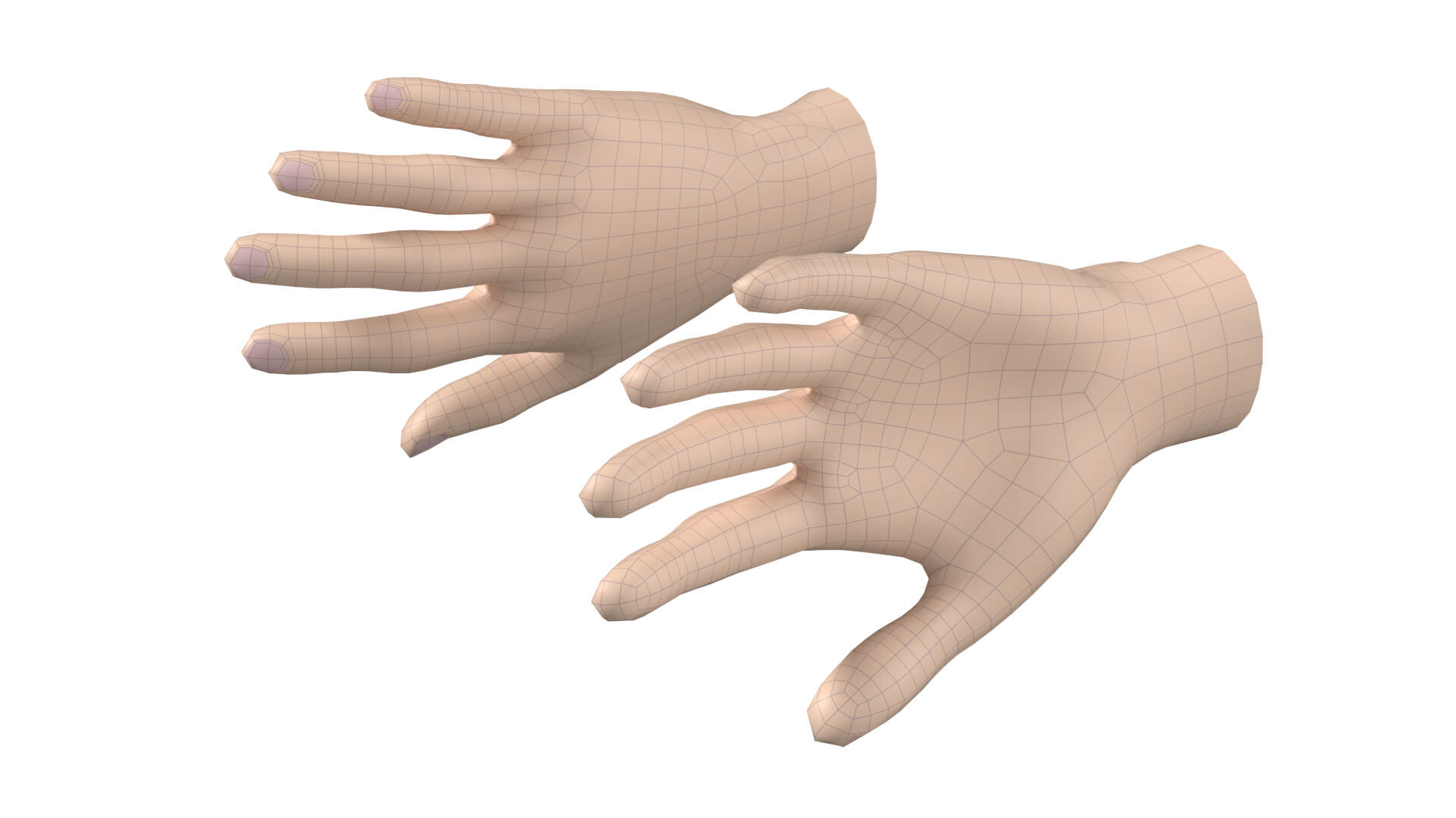 Female Hand Base Mesh 03 - 3D Model by Valerii-Kaliuzhnyi