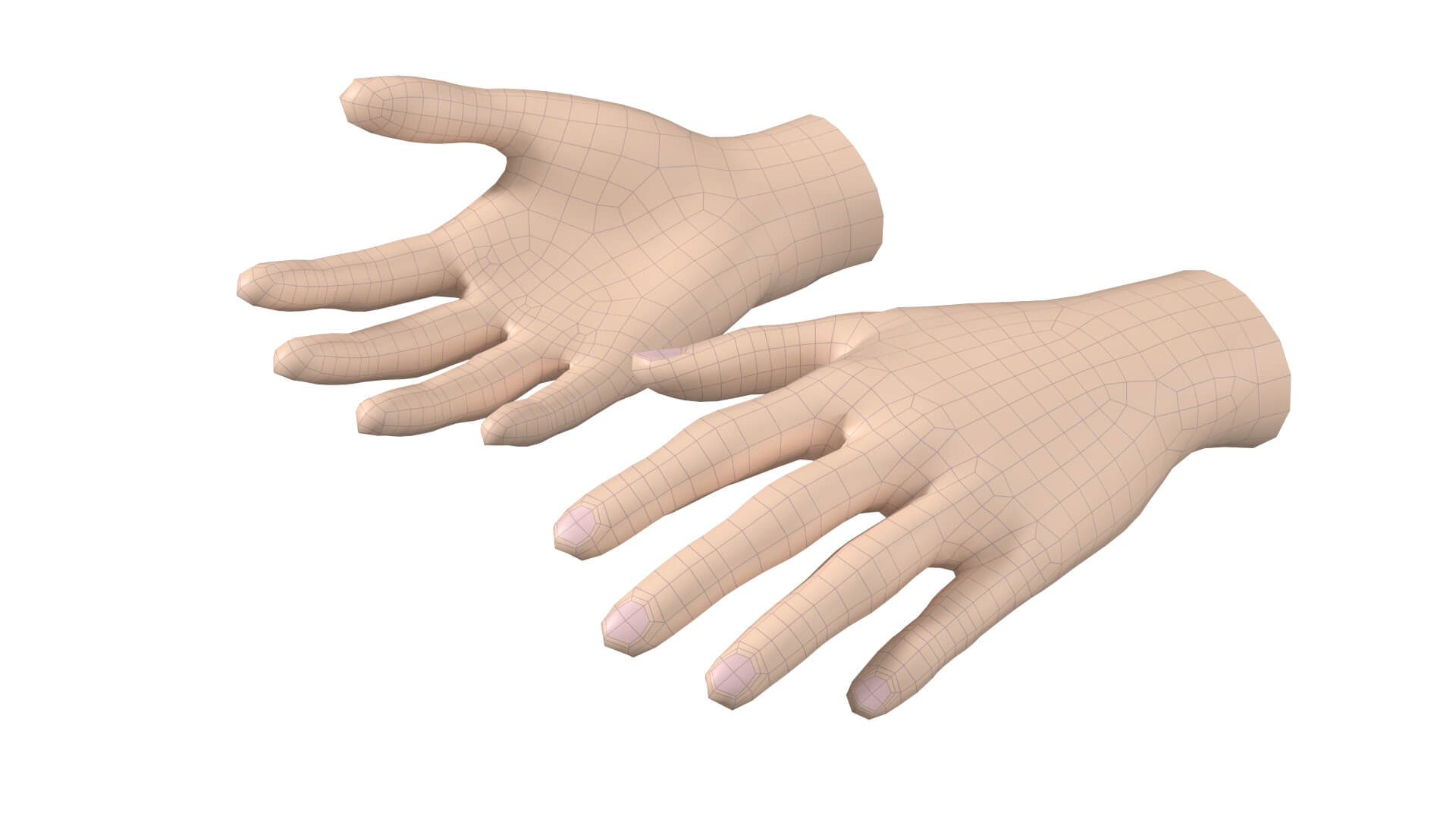 Female Hand Base Mesh 03 - 3D Model by Valerii-Kaliuzhnyi