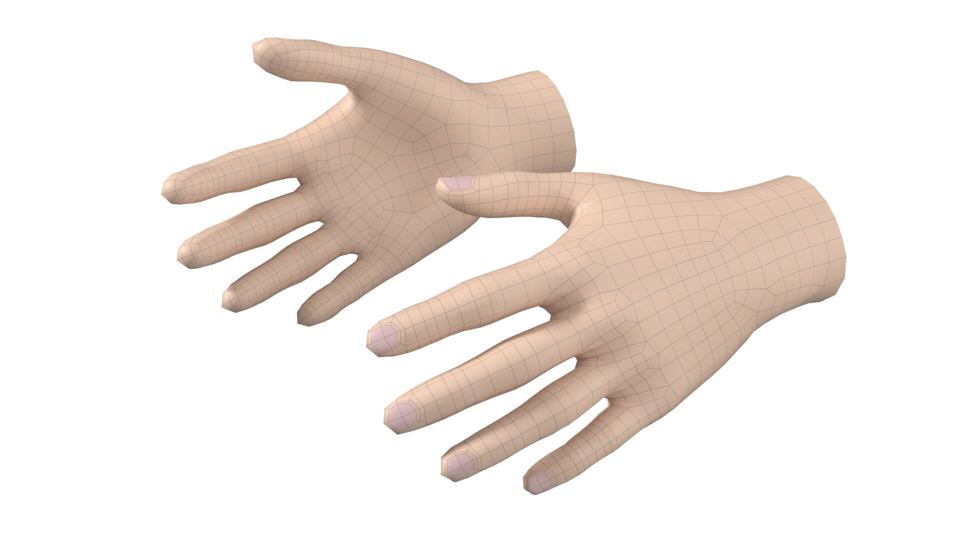 Female Hand Base Mesh 03 - 3D Model by Valerii-Kaliuzhnyi