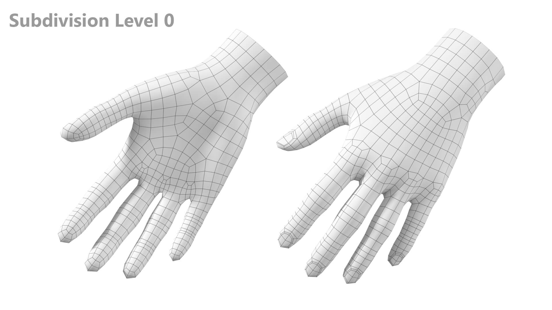 Female Hand Base Mesh 03 - 3D Model by Valerii-Kaliuzhnyi
