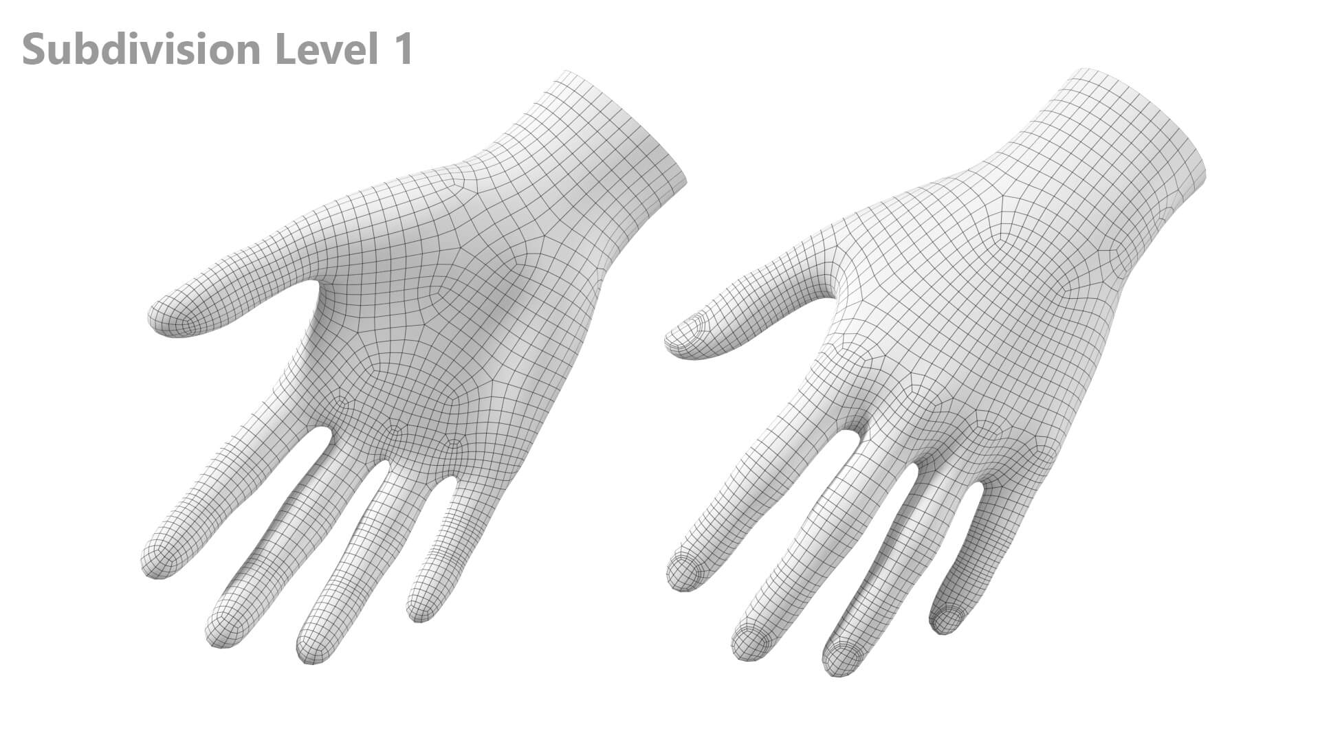 Female Hand Base Mesh 03 - 3D Model by Valerii-Kaliuzhnyi