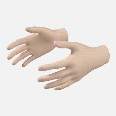 Female Hand Base Mesh 03 - 3D Model by Valerii-Kaliuzhnyi