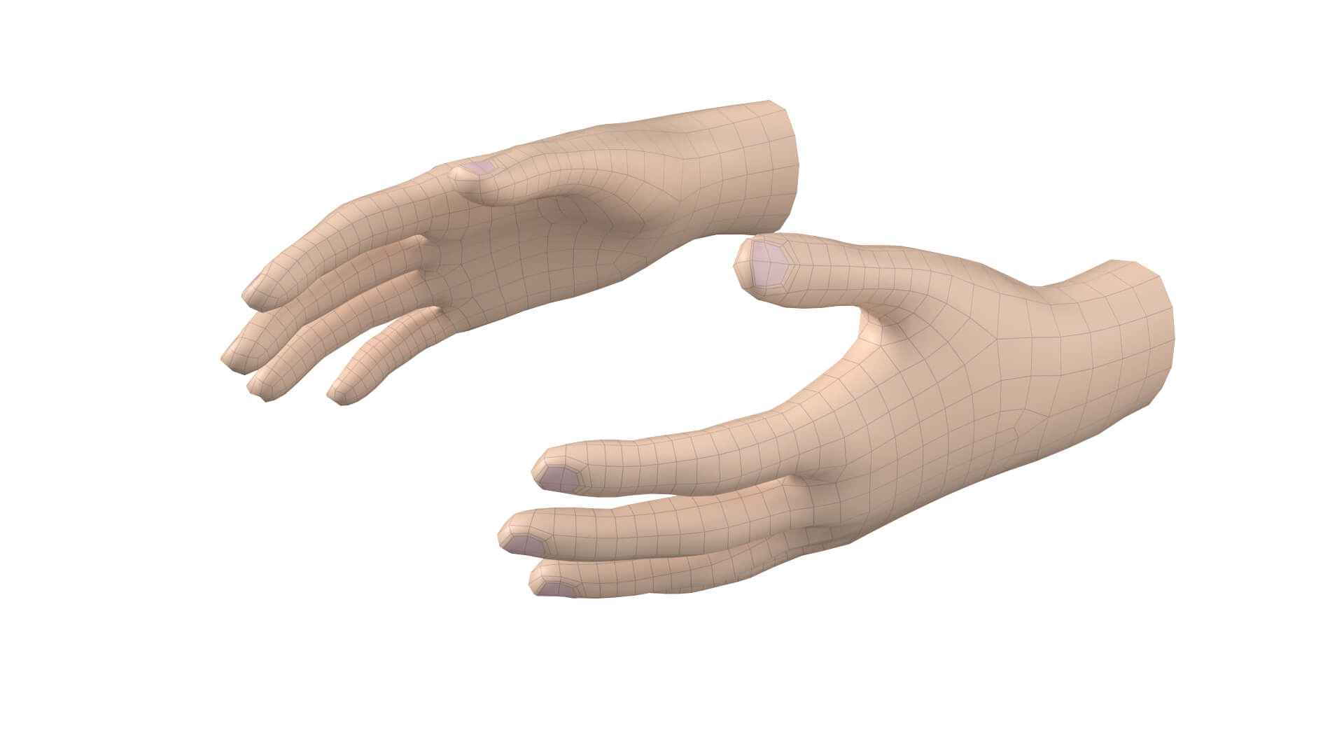 Female Hand Base Mesh 04 - 3D Model by Valerii-Kaliuzhnyi