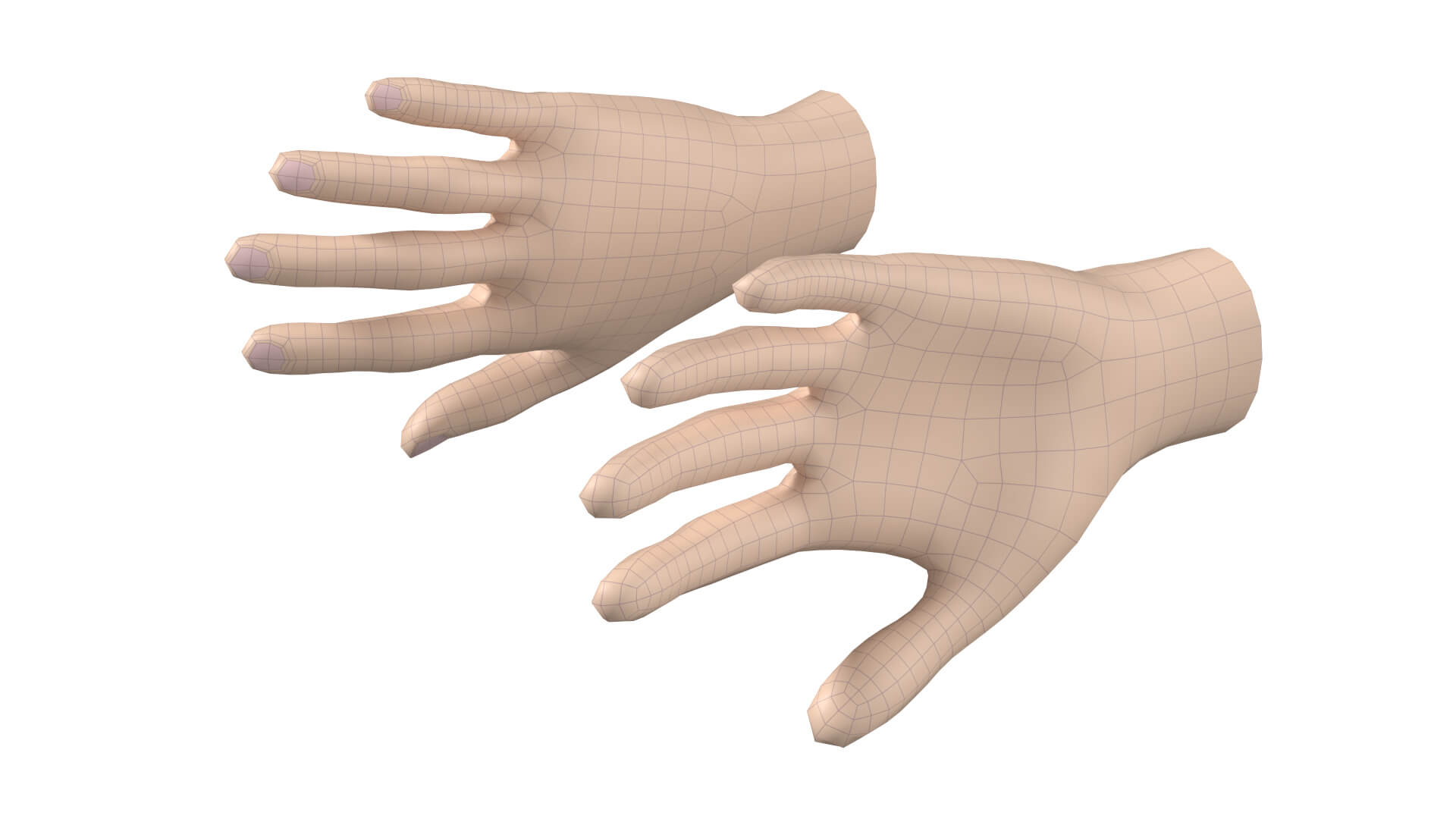 Female Hand Base Mesh 04 - 3D Model by Valerii-Kaliuzhnyi