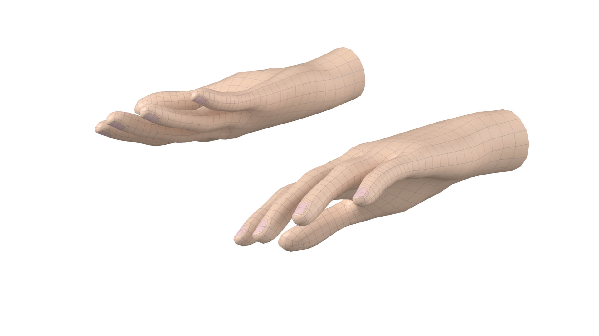 Female Hand Base Mesh 04 - 3D Model by Valerii-Kaliuzhnyi