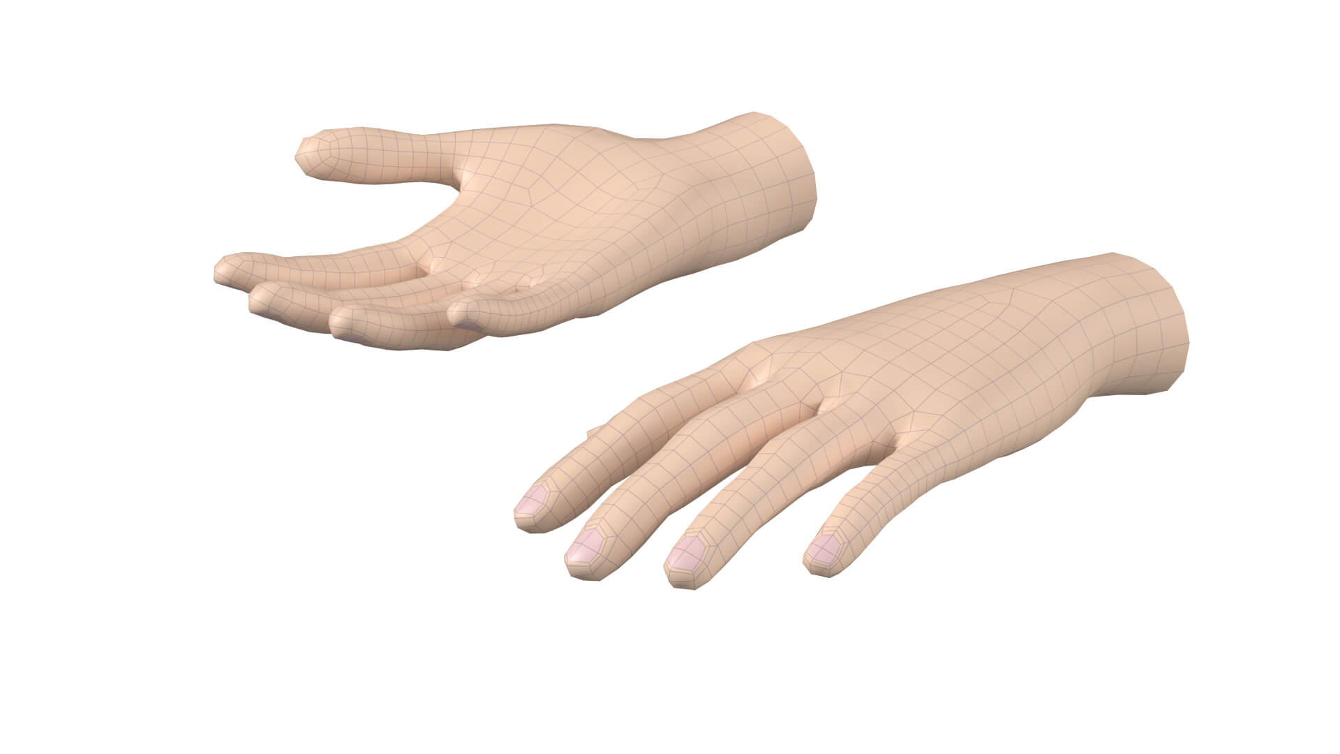 Female Hand Base Mesh 04 - 3D Model by Valerii-Kaliuzhnyi