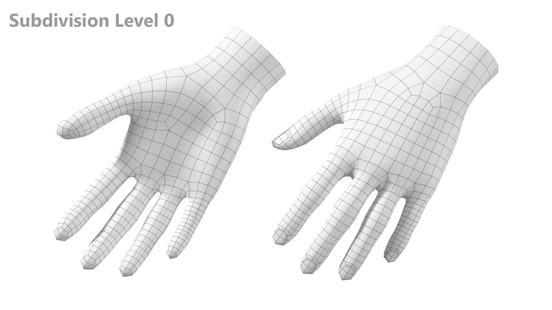 Female Hand Base Mesh 04 - 3D Model by Valerii-Kaliuzhnyi