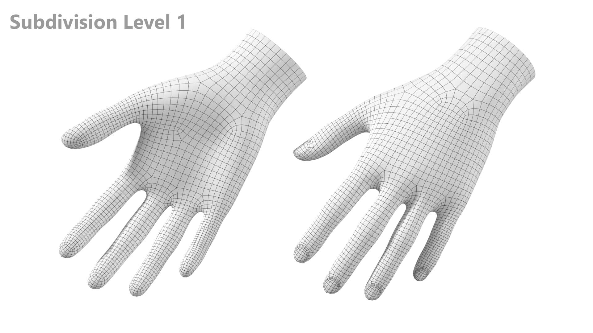 Female Hand Base Mesh 04 - 3D Model by Valerii-Kaliuzhnyi