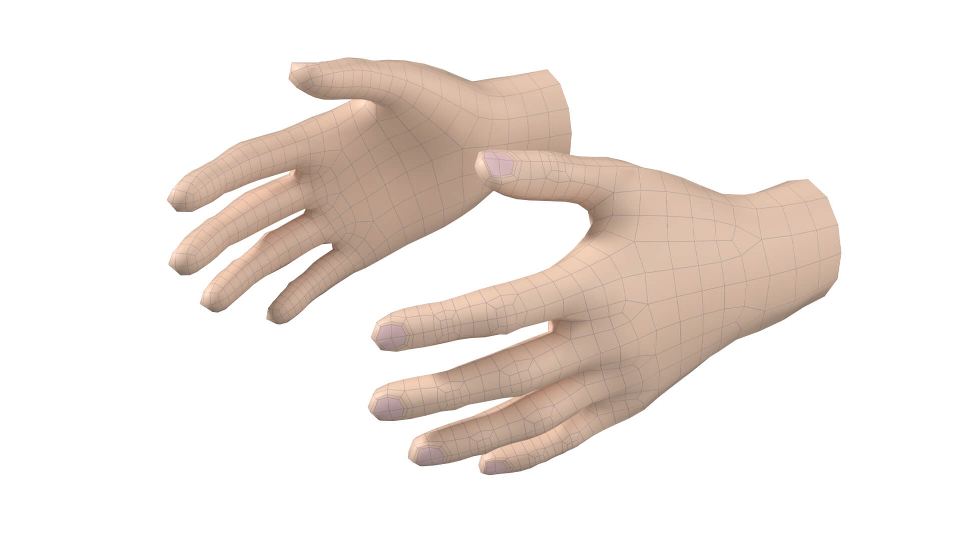 Female Hand Base Mesh 05 - 3D Model by Valerii-Kaliuzhnyi