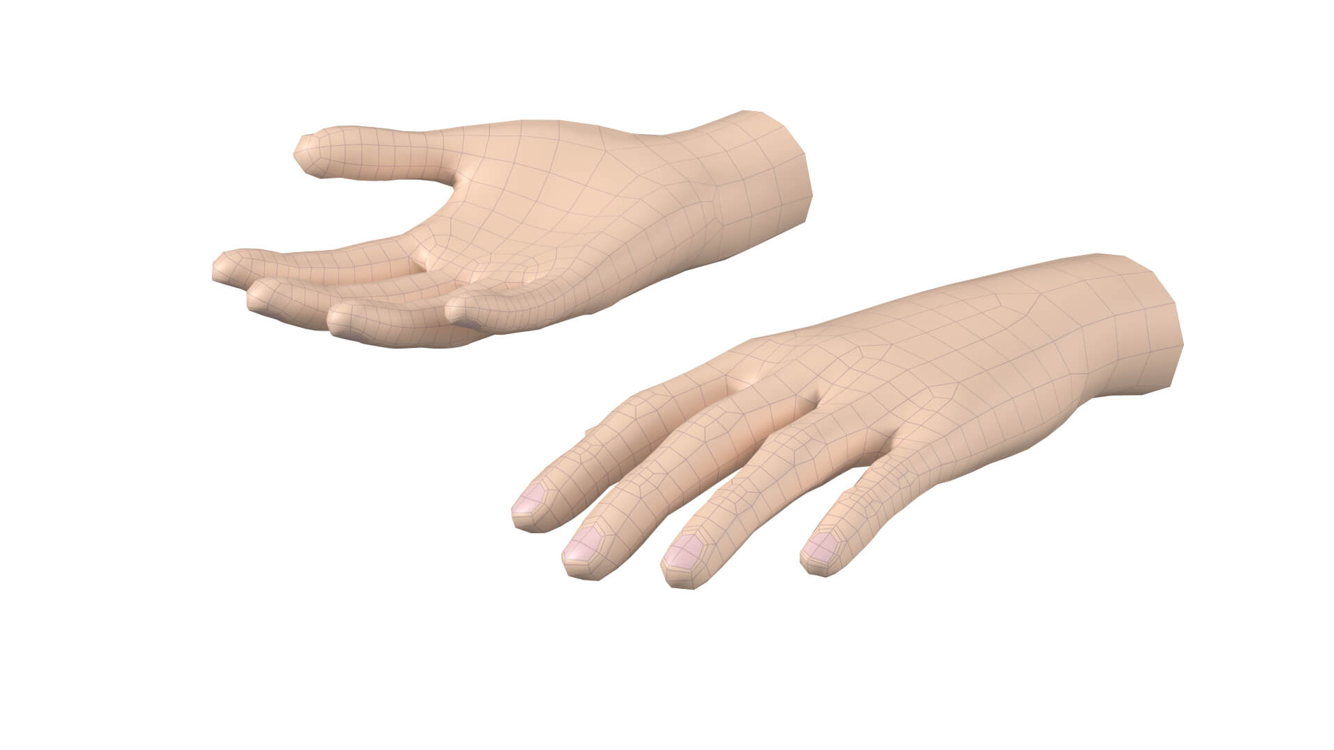 Female Hand Base Mesh 05 - 3D Model by Valerii-Kaliuzhnyi