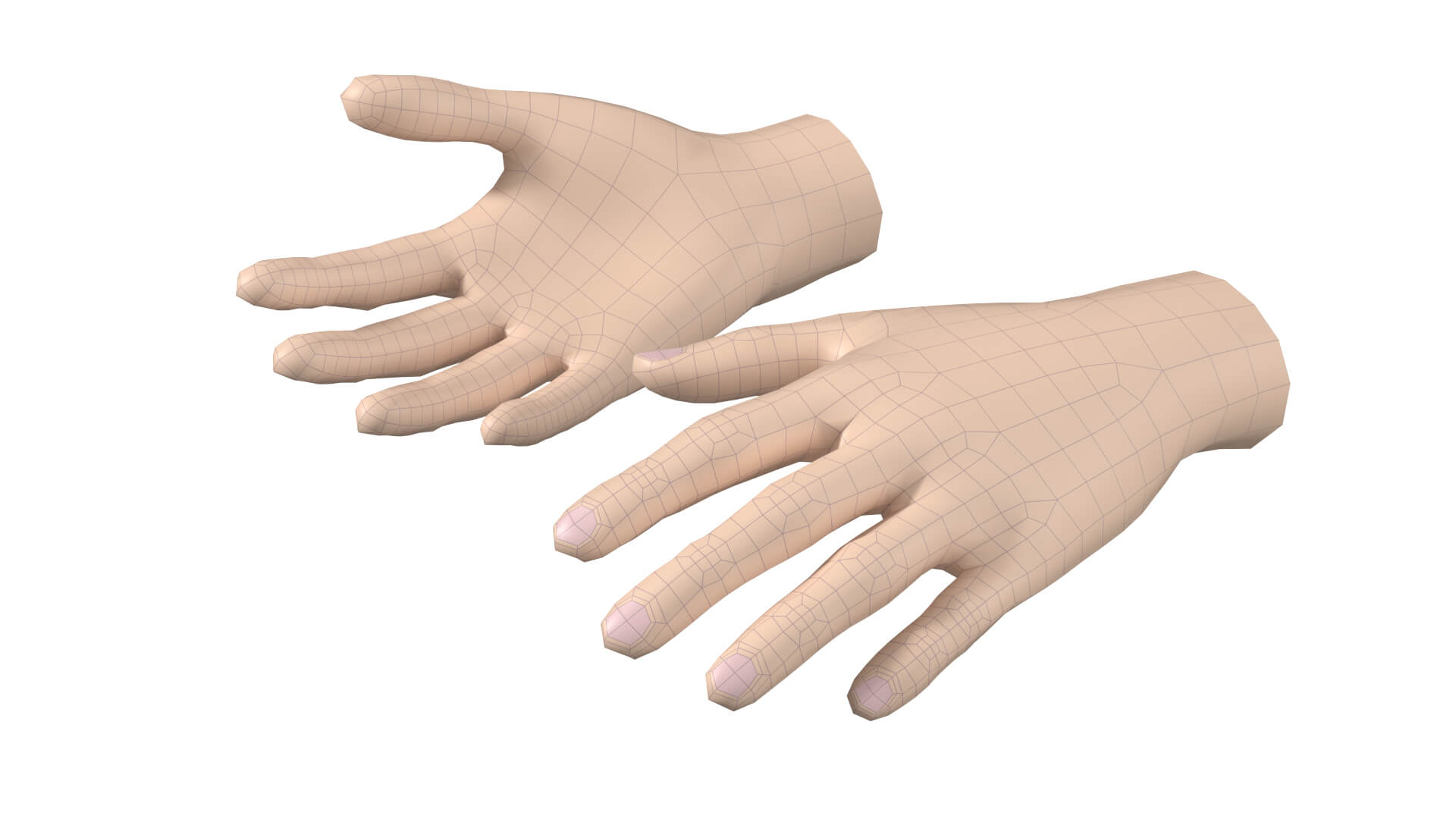 Female Hand Base Mesh 05 - 3D Model by Valerii-Kaliuzhnyi