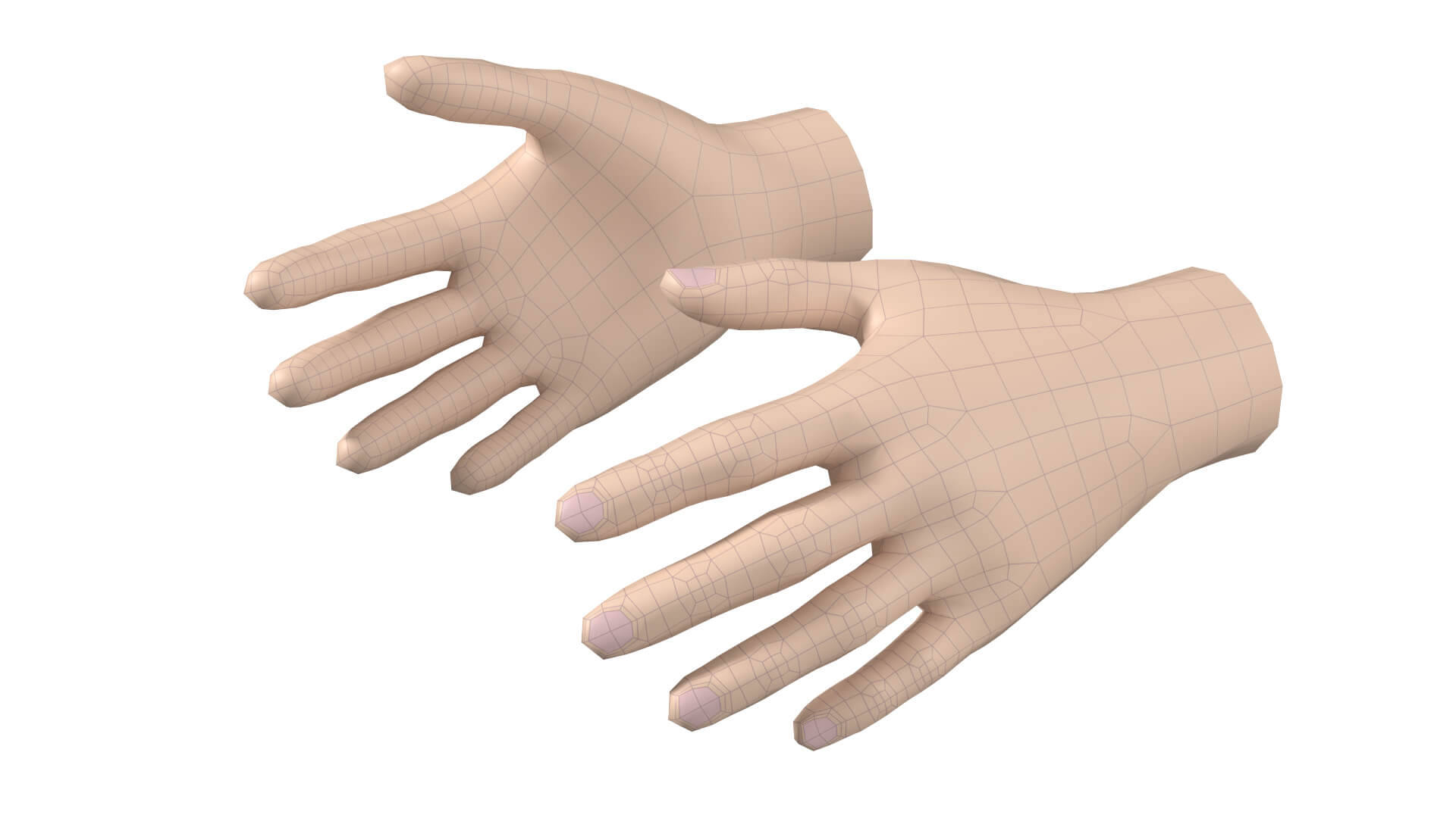 Female Hand Base Mesh 05 - 3D Model by Valerii-Kaliuzhnyi