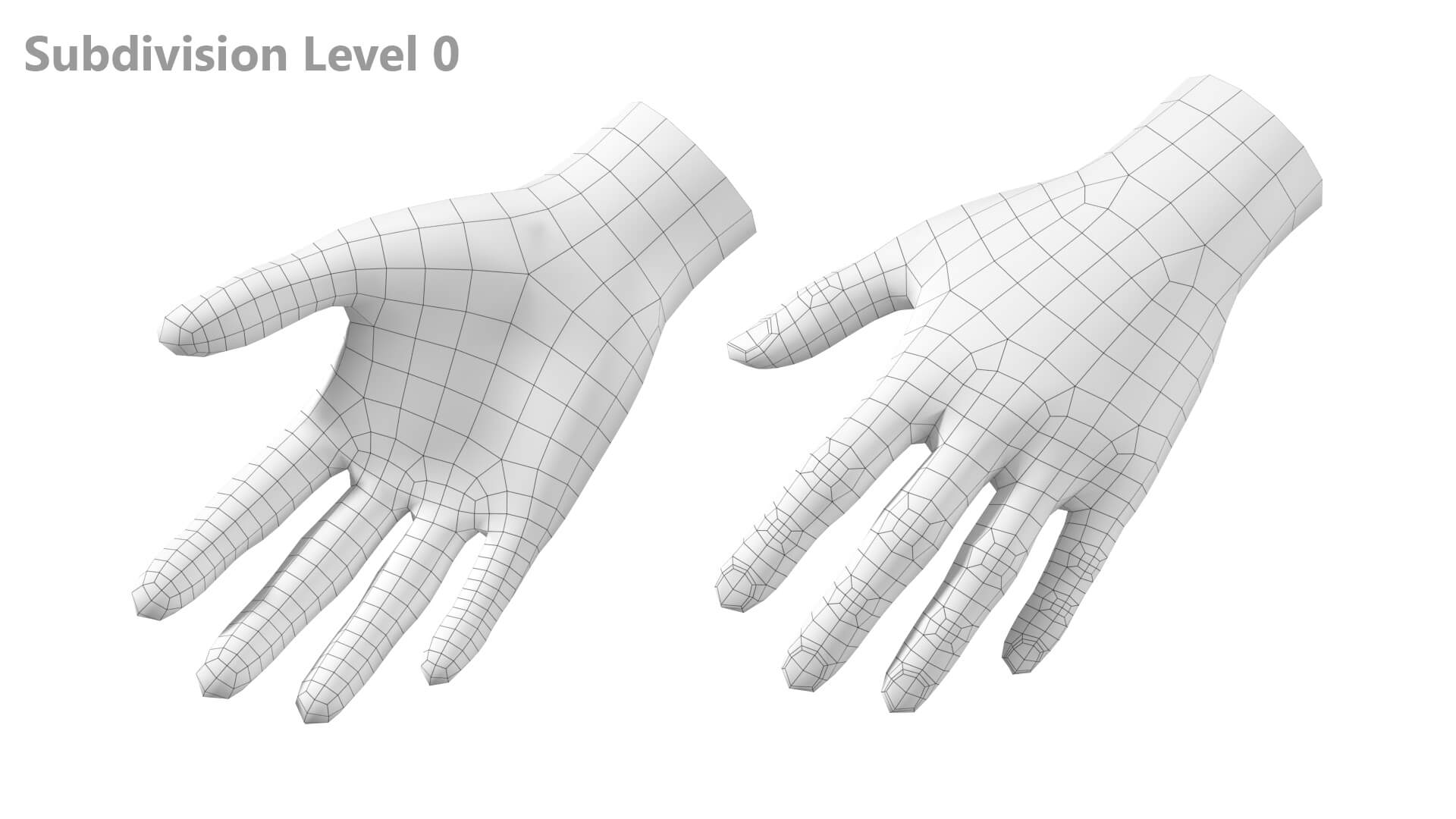 Female Hand Base Mesh 05 - 3D Model by Valerii-Kaliuzhnyi