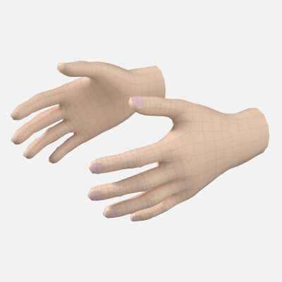 Female Hand Base Mesh 05 - 3D Model by Valerii-Kaliuzhnyi