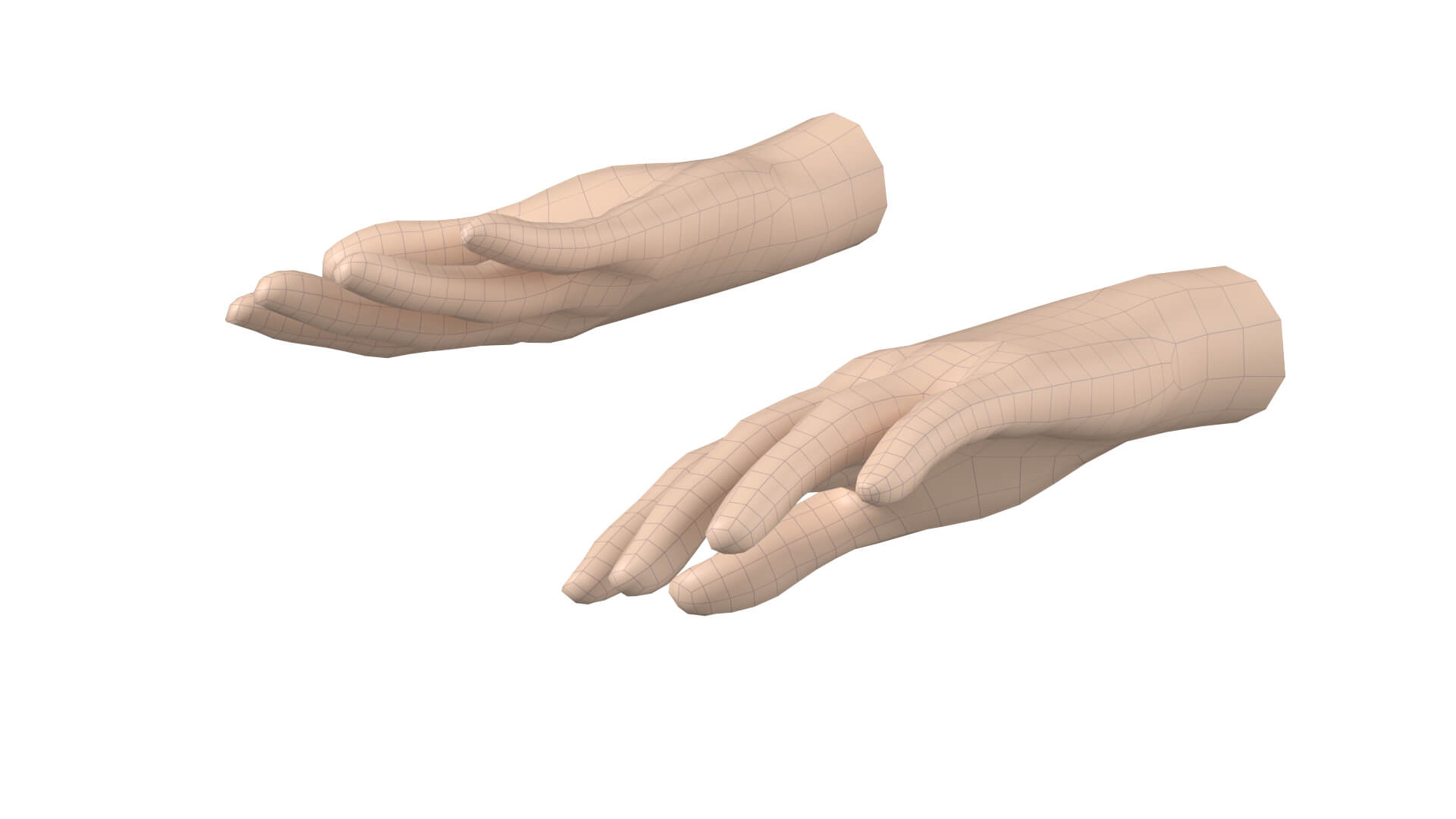 Female Hand Base Mesh 06 - 3D Model by Valerii-Kaliuzhnyi