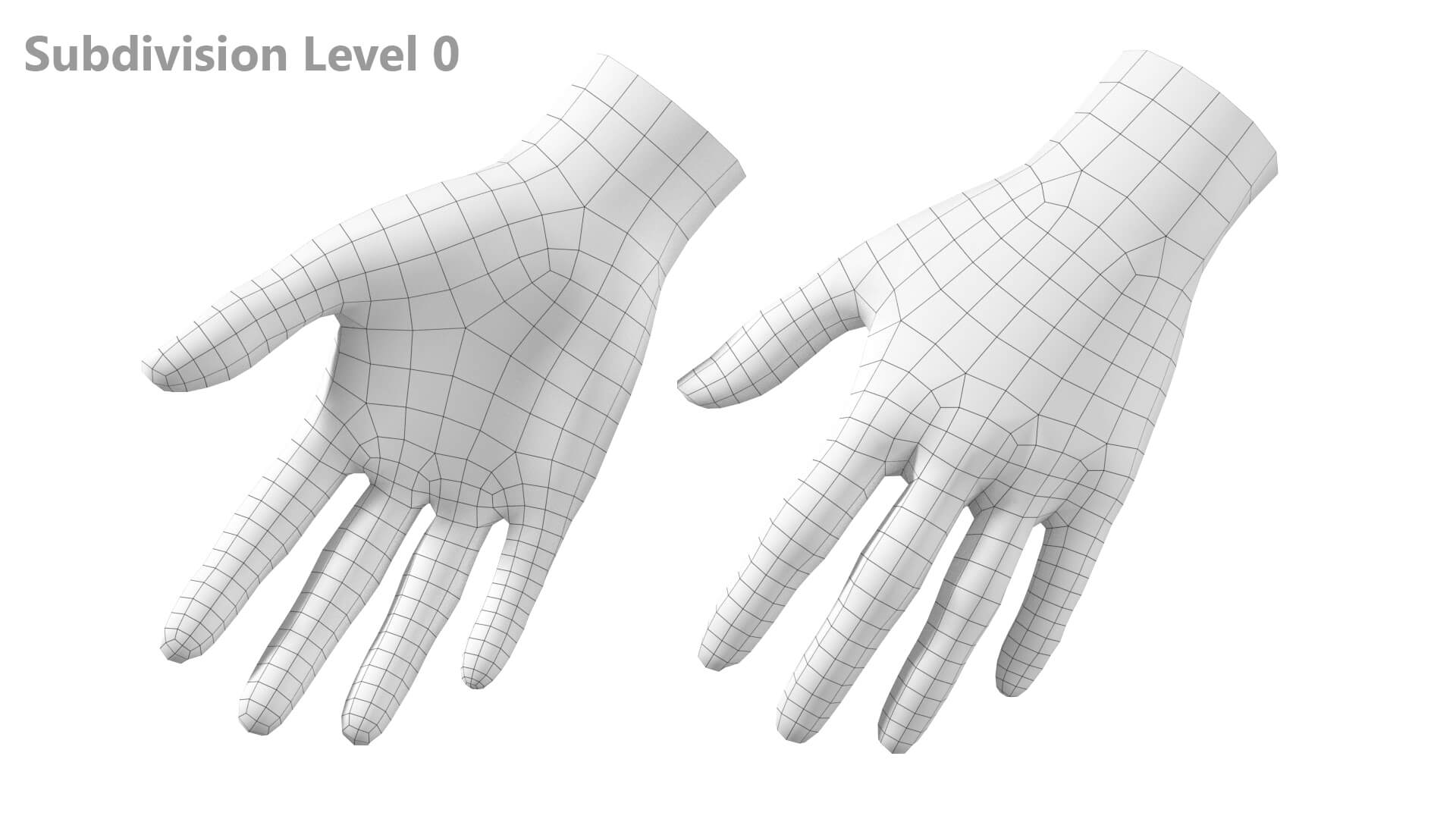 Female Hand Base Mesh 06 - 3D Model by Valerii-Kaliuzhnyi