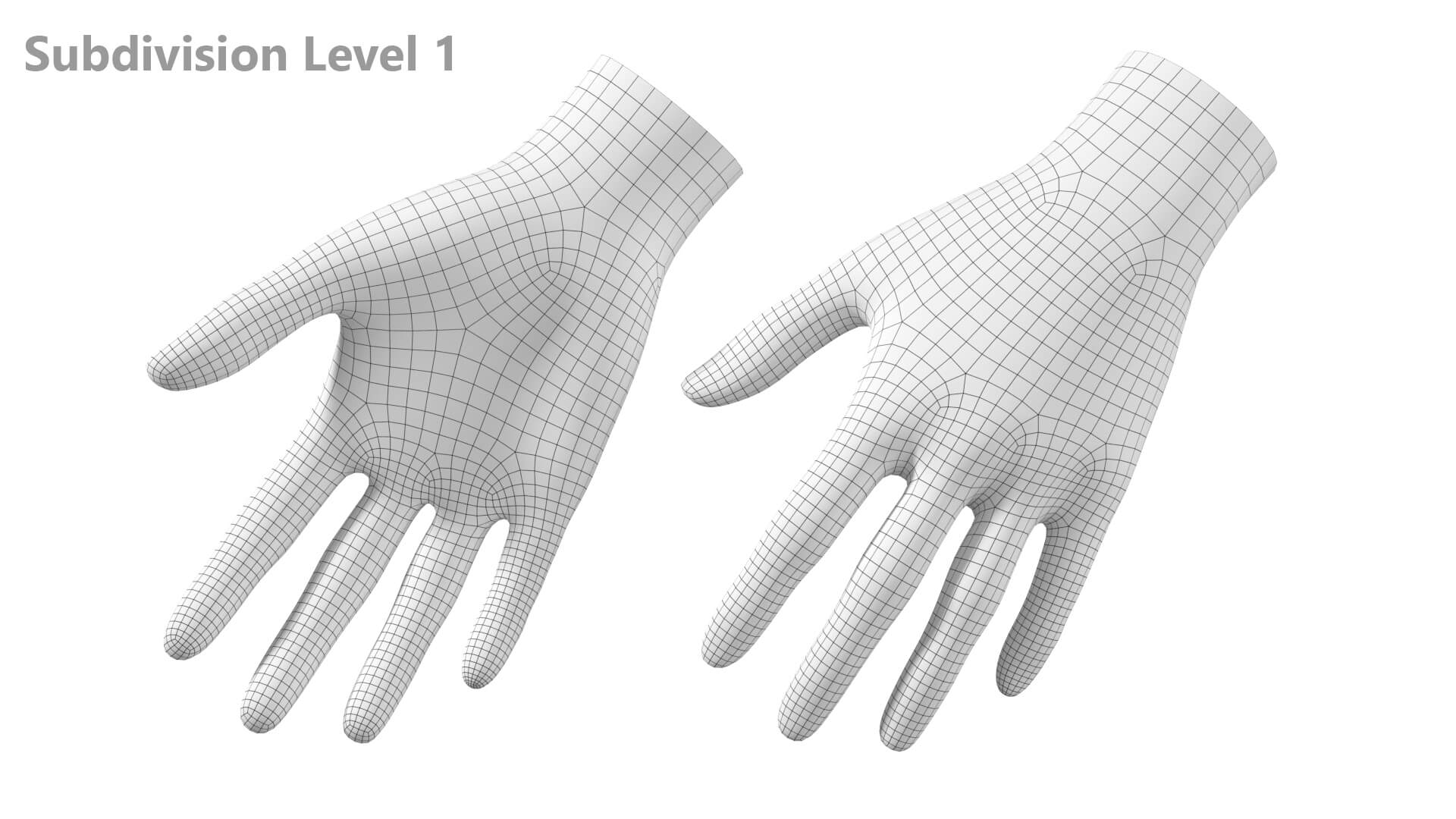 Female Hand Base Mesh 06 - 3D Model by Valerii-Kaliuzhnyi