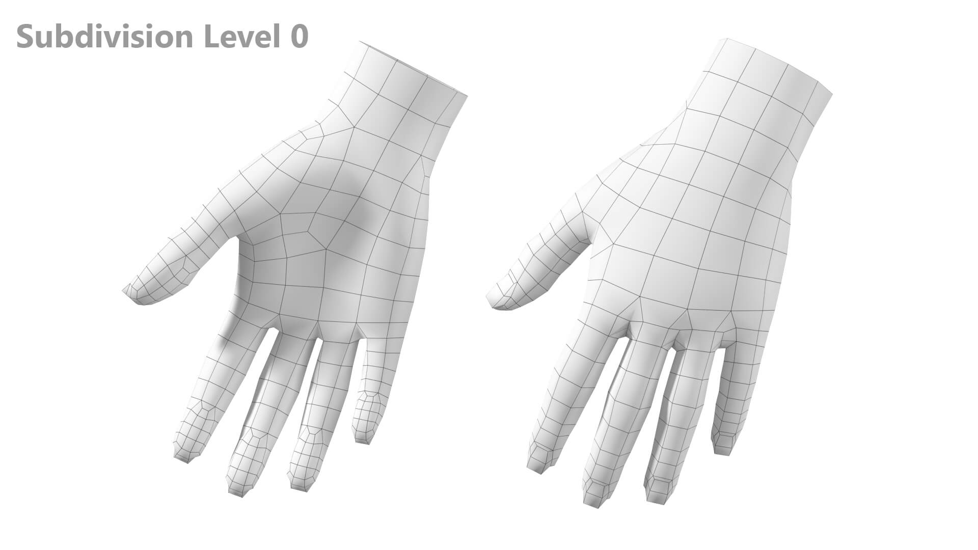 Female Hand Base Mesh 07 - 3D Model by Valerii-Kaliuzhnyi