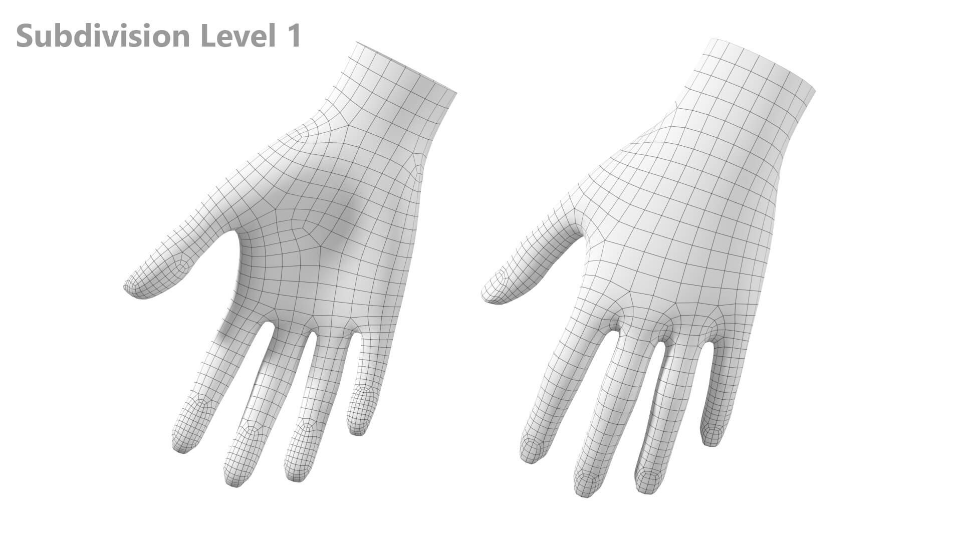 Female Hand Base Mesh 07 - 3D Model by Valerii-Kaliuzhnyi