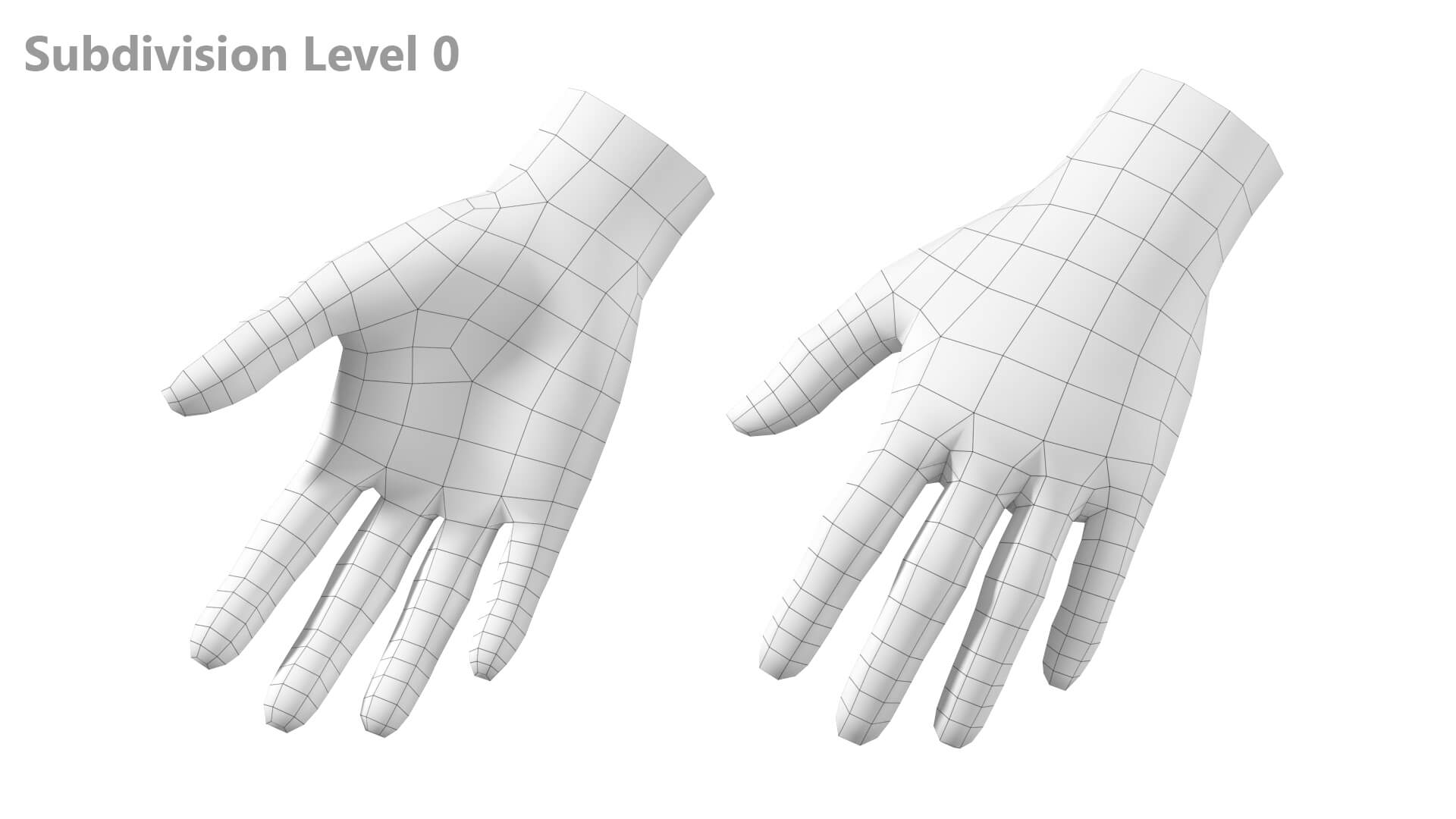 Female Hand Base Mesh 08 - 3D Model by Valerii-Kaliuzhnyi
