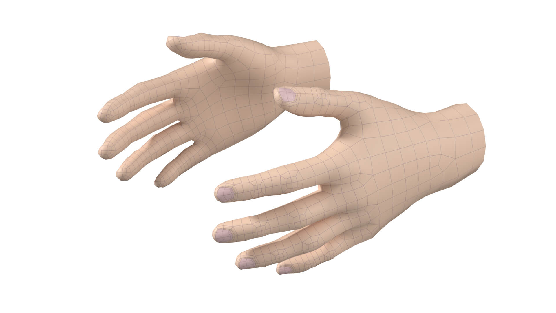 Female Hand Base Mesh 09 - 3D Model by Valerii-Kaliuzhnyi