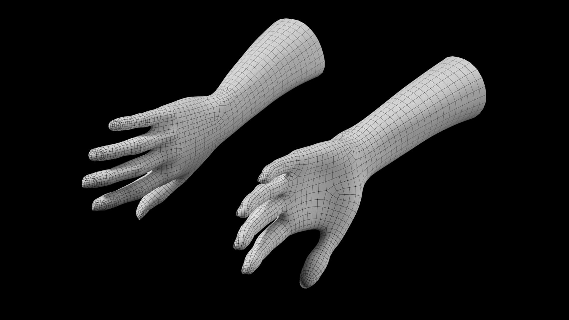 Female Hands Gesture 01 Base Mesh - 3D Model by Valerii-Kaliuzhnyi