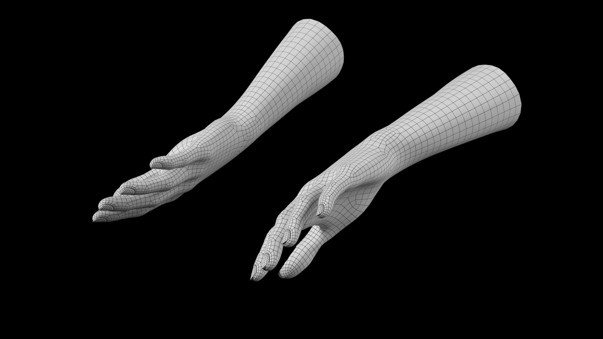Female Hands Gesture 01 Base Mesh - 3D Model by Valerii-Kaliuzhnyi