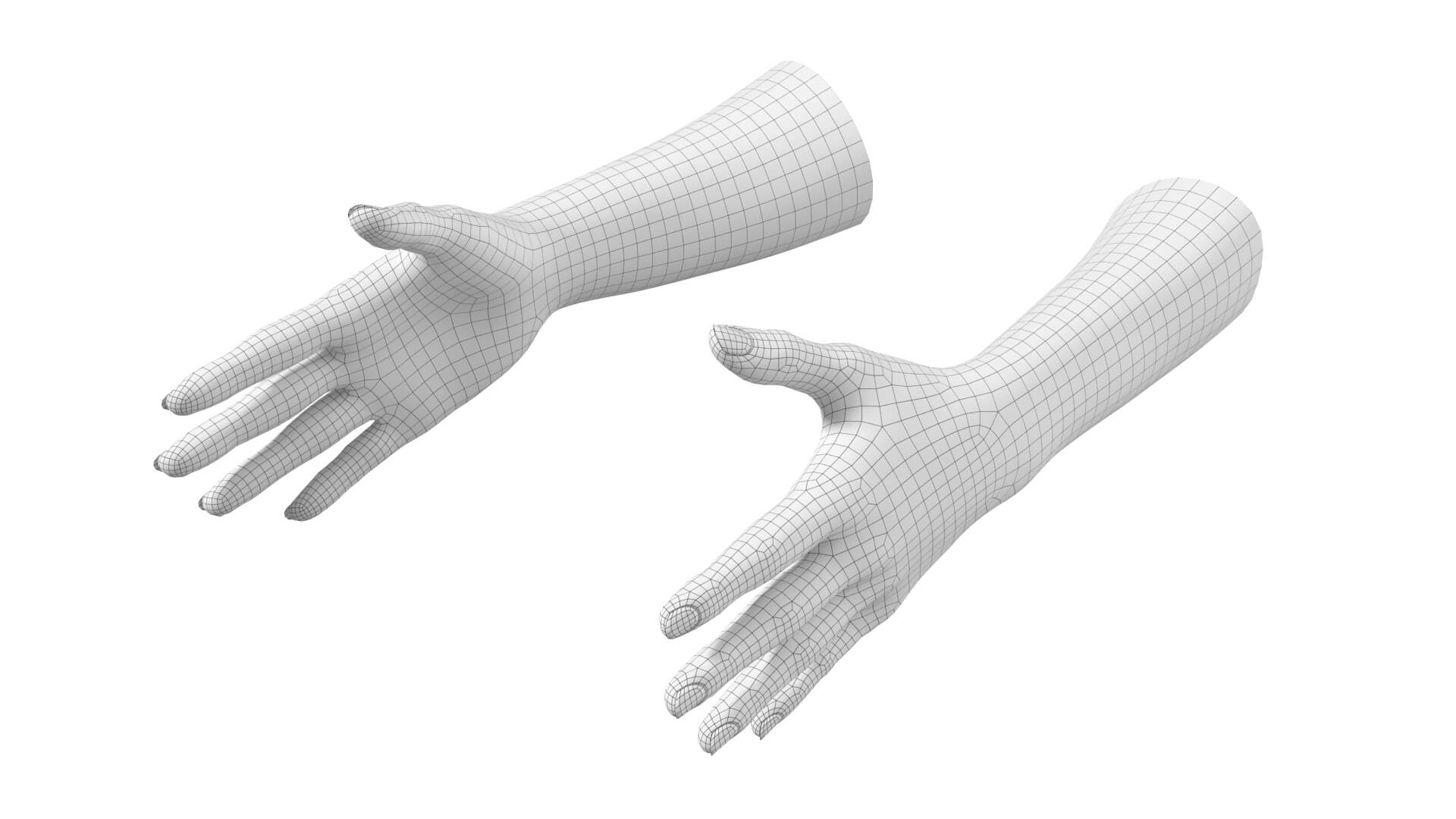 Female Hands Gesture 02 Base Mesh - 3D Model by Valerii-Kaliuzhnyi