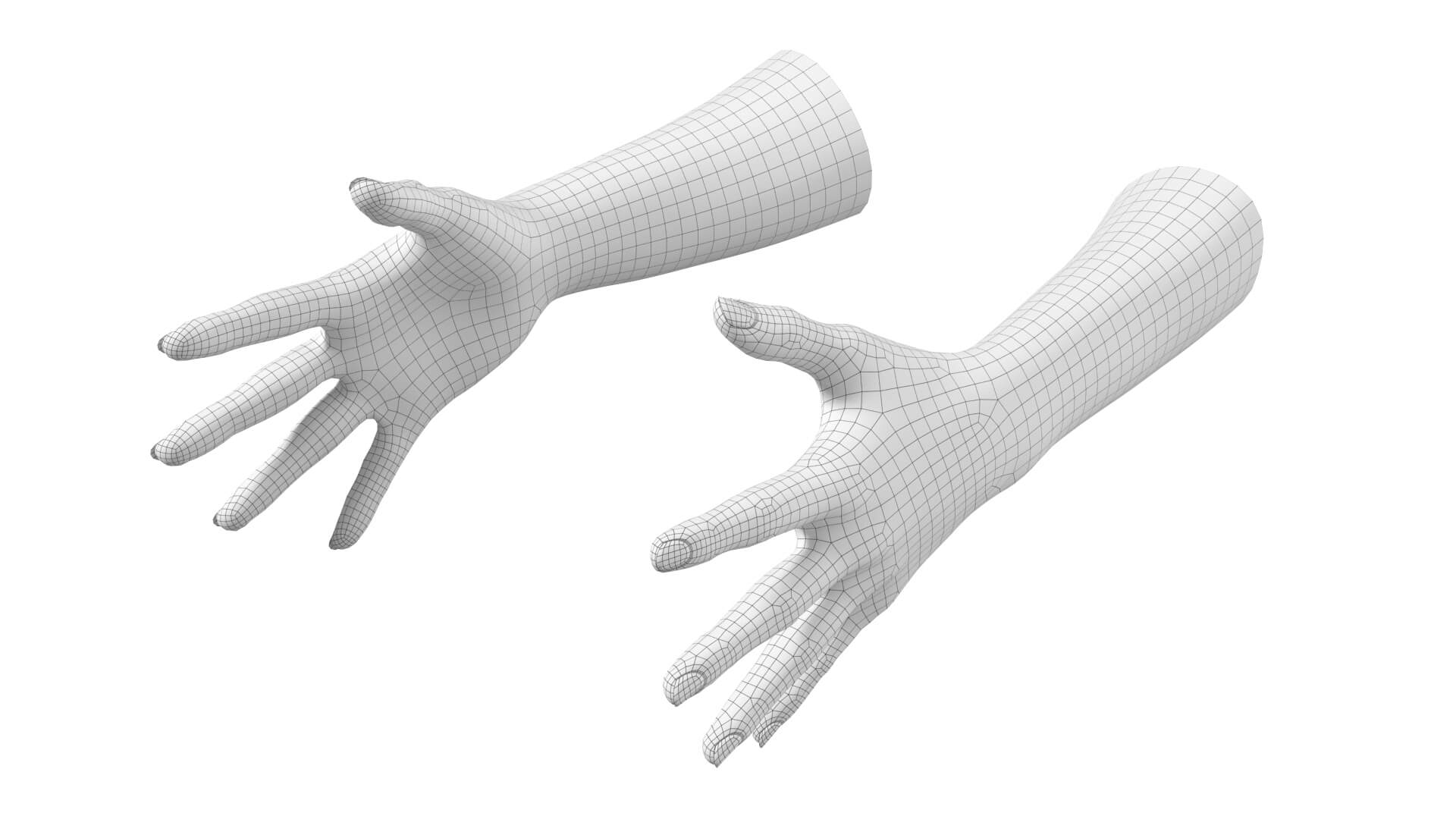 3d Hand Mesh