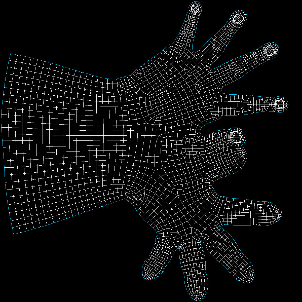 Female Hands Gesture 03 Base Mesh - 3D Model by Valerii-Kaliuzhnyi