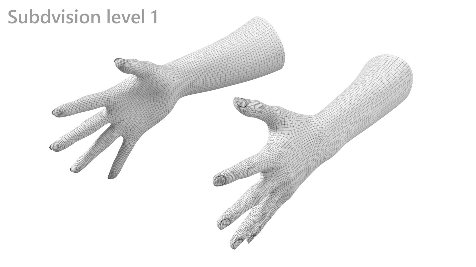 Female Hands Gesture 03 Base Mesh - 3D Model by Valerii-Kaliuzhnyi