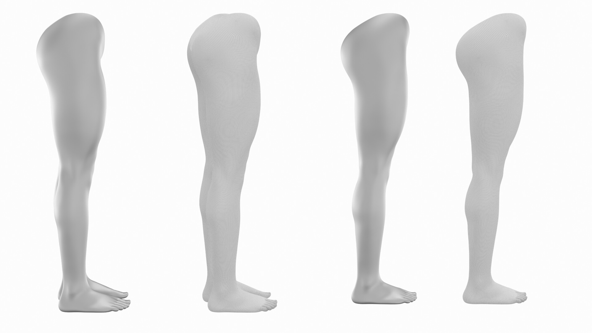 Female Legs Anatomical Base Mesh - 3D Model by Valerii-Kaliuzhnyi