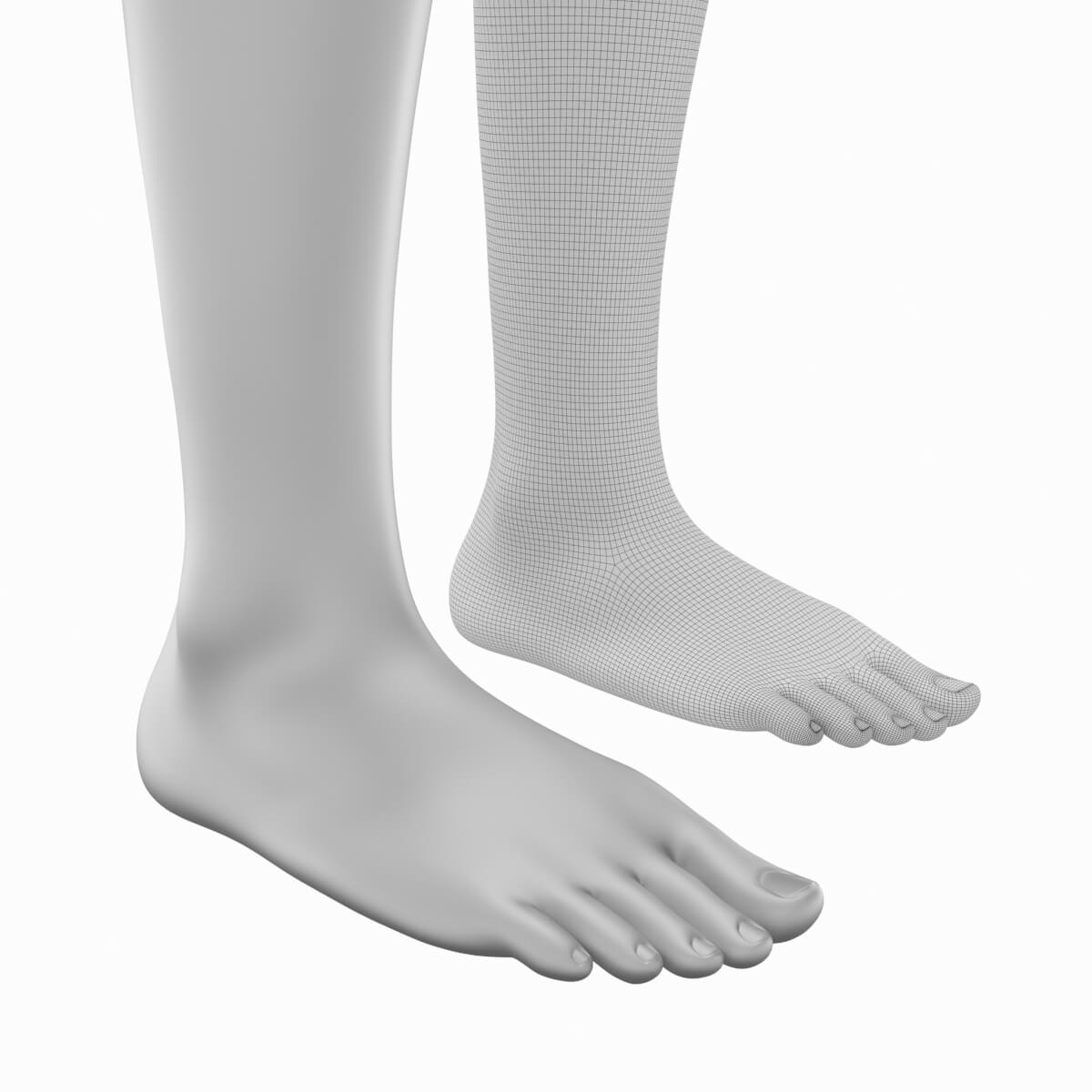 Female Legs Anatomical Base Mesh - 3D Model by Valerii-Kaliuzhnyi