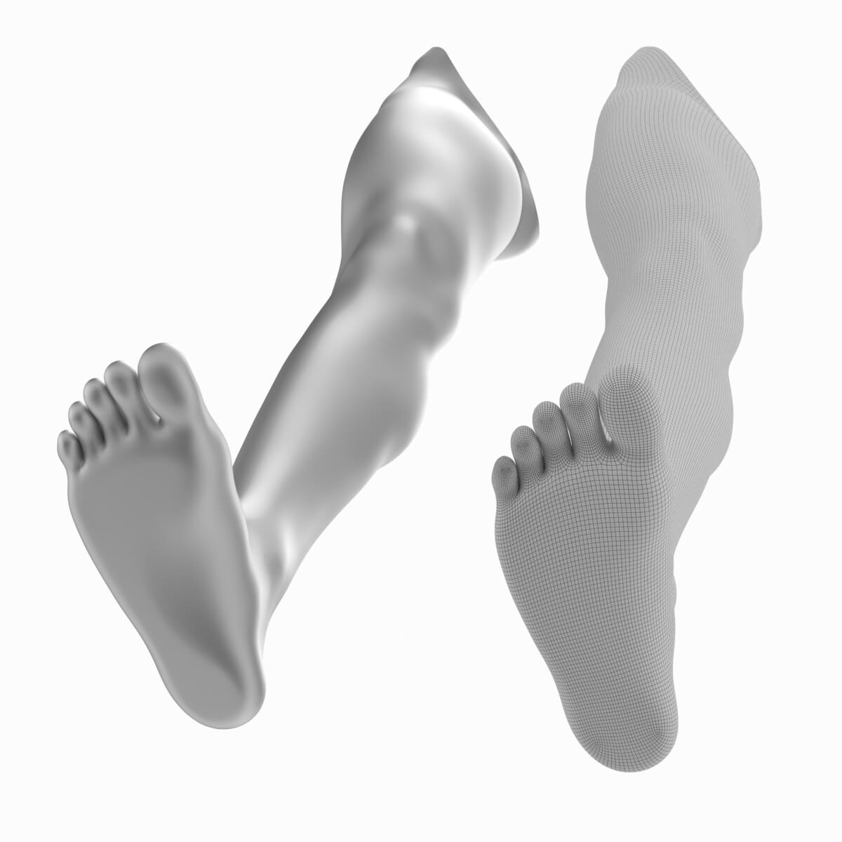 Female Legs Anatomical Base Mesh - 3D Model by Valerii-Kaliuzhnyi