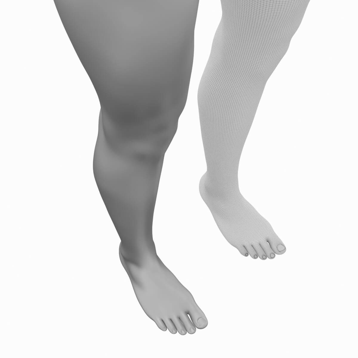 Female Legs Anatomical Base Mesh - 3D Model by Valerii-Kaliuzhnyi
