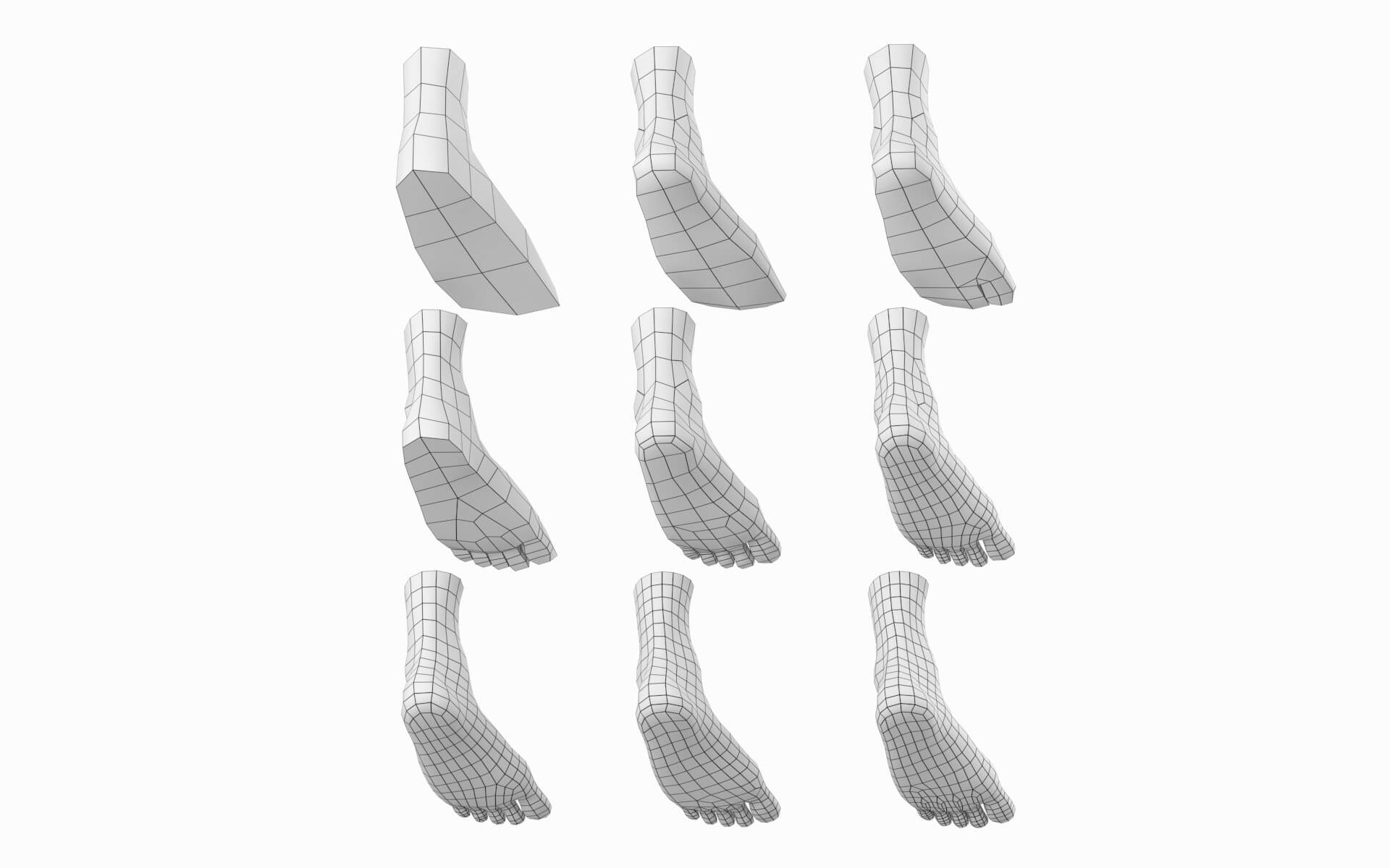 Foot Base Mesh Kit - 3D Model by Valerii-Kaliuzhnyi