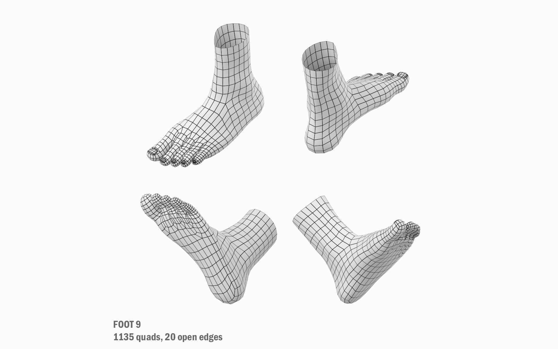 Foot Base Mesh Kit - 3D Model by Valerii-Kaliuzhnyi