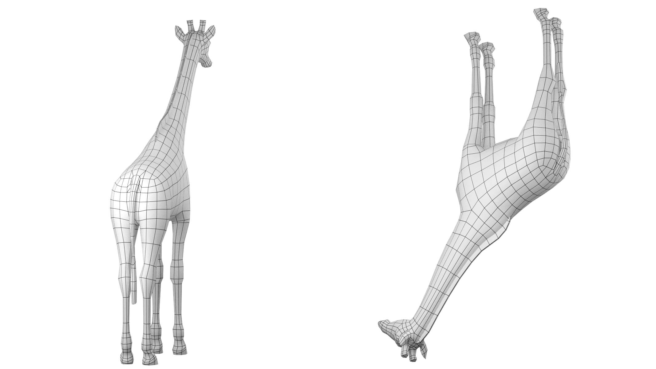 Giraffe Animal Base Mesh - 3D Model by Valerii-Kaliuzhnyi