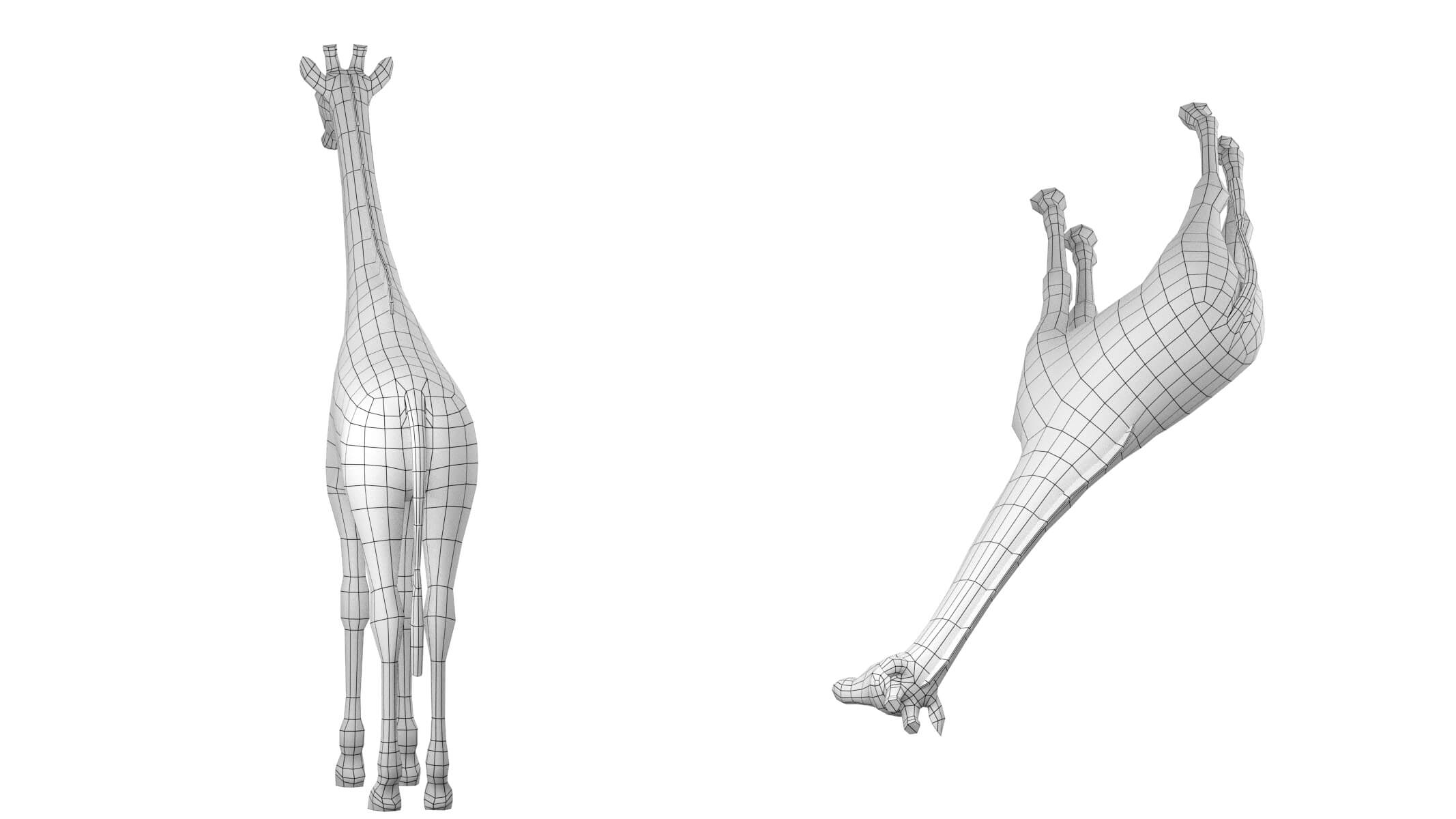 Giraffe Animal Base Mesh - 3D Model by Valerii-Kaliuzhnyi