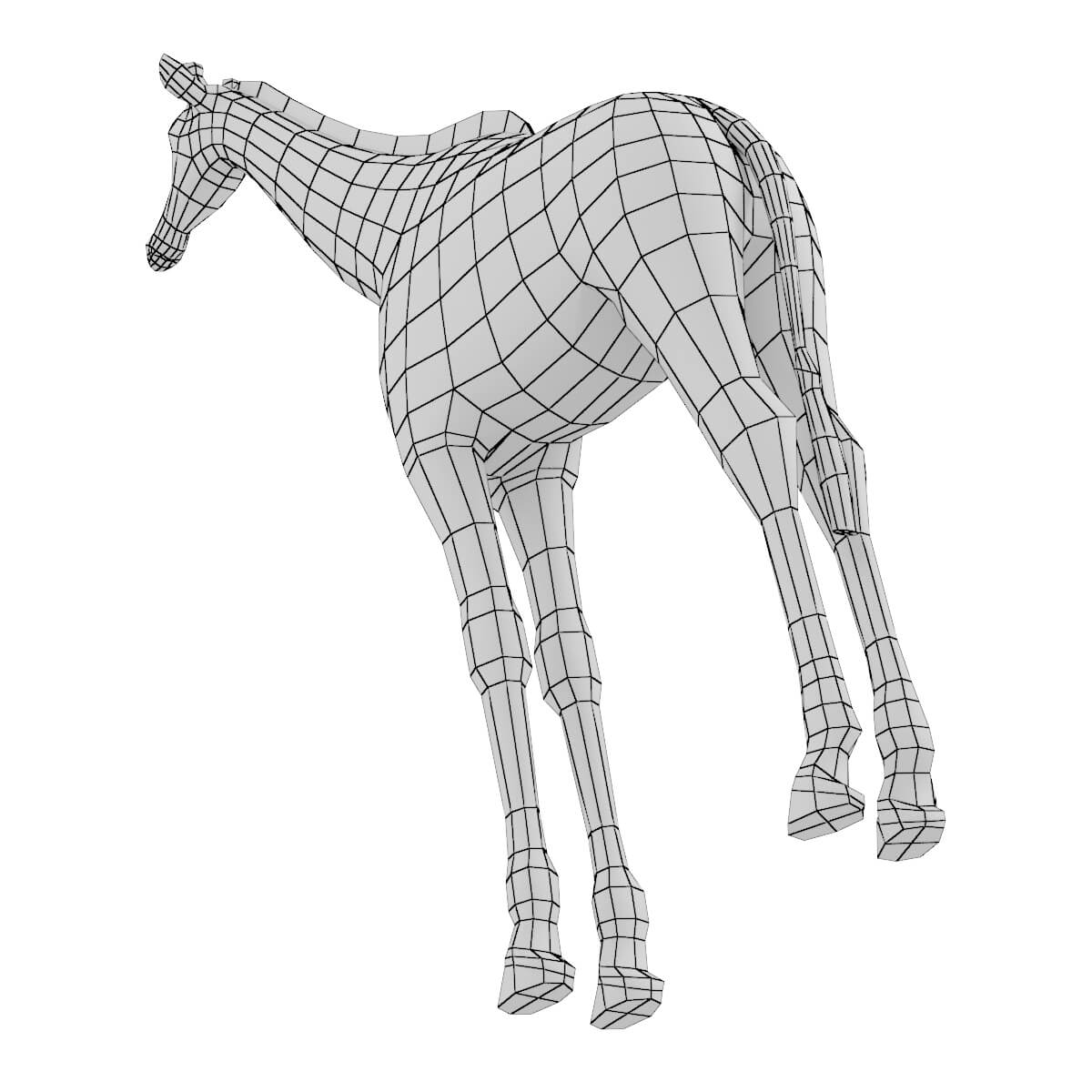 Giraffe Animal Base Mesh - 3D Model by Valerii-Kaliuzhnyi