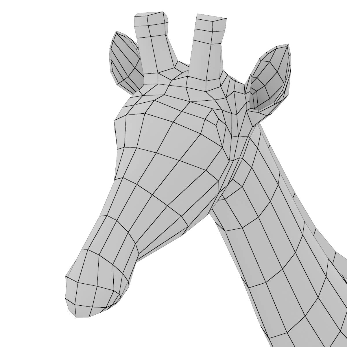 Giraffe Animal Base Mesh - 3D Model by Valerii-Kaliuzhnyi