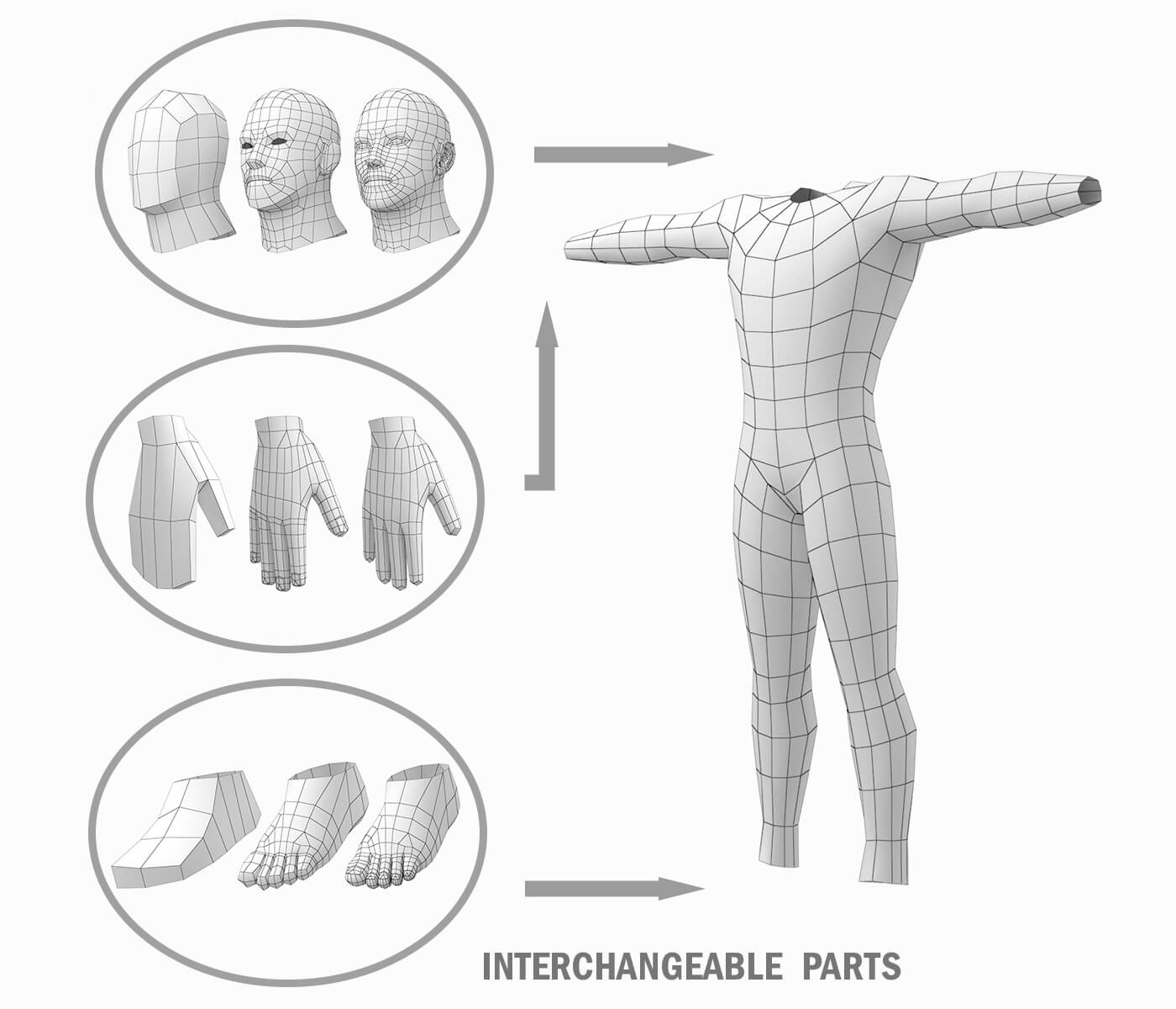 Hero Male in T-Pose Base Mesh 3D Model by Valerii-Kaliuzhnyi