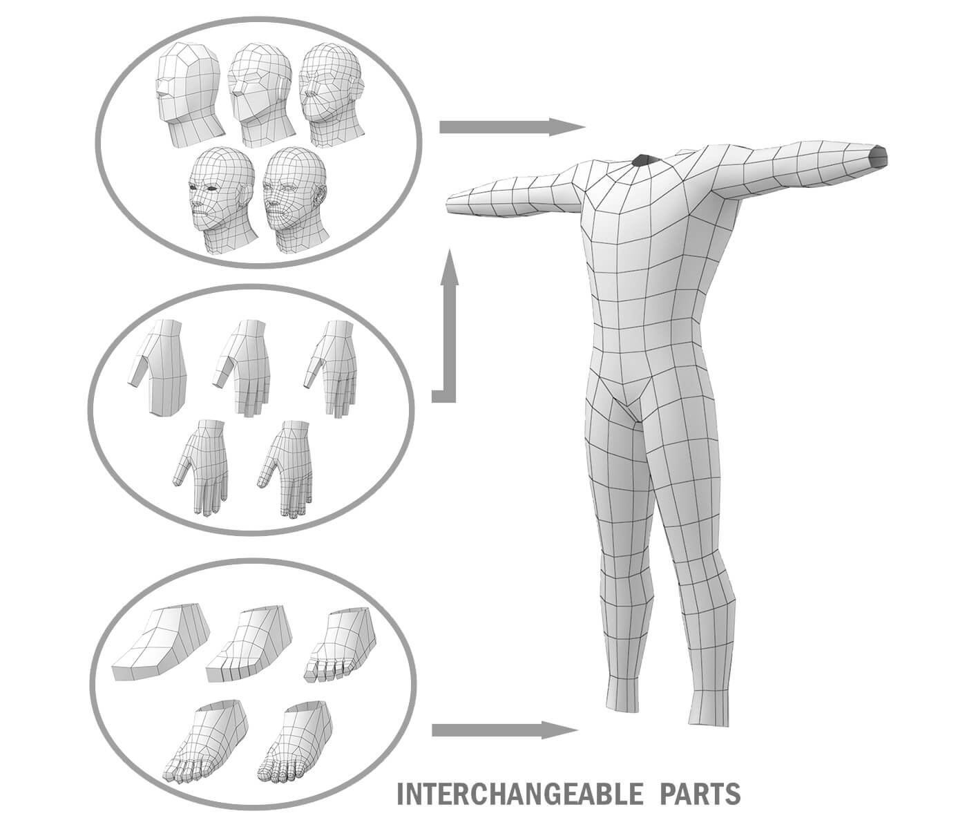 Hero Male in T-Pose in 5 Topologies 3D Model by Valerii-Kaliuzhnyi