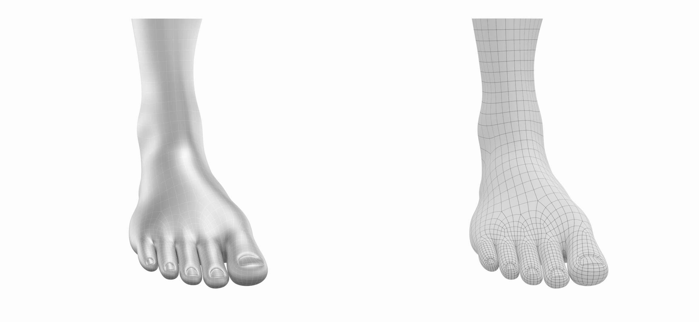 Human Feet in Standing Position Base Mesh - 3D Model by Valerii-Kaliuzhnyi